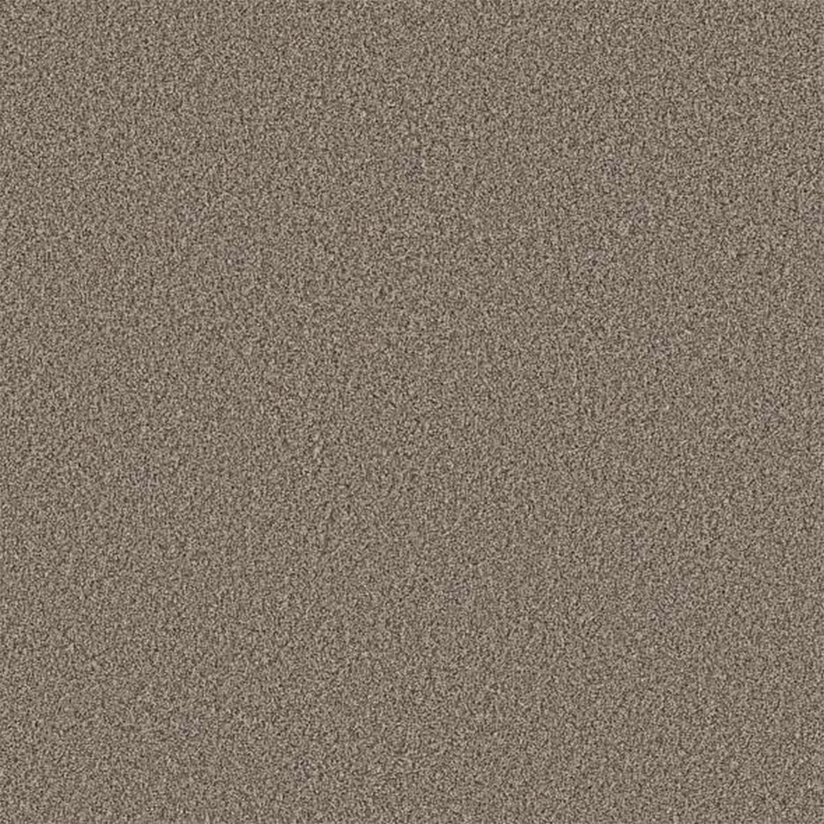 Shaw Artistic Fusion I Carpet in Sea Shell