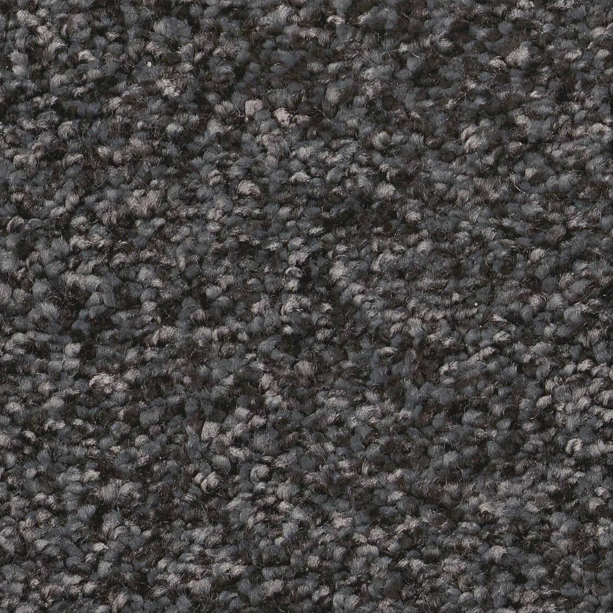 Shaw You Got This III Carpet in Shadow