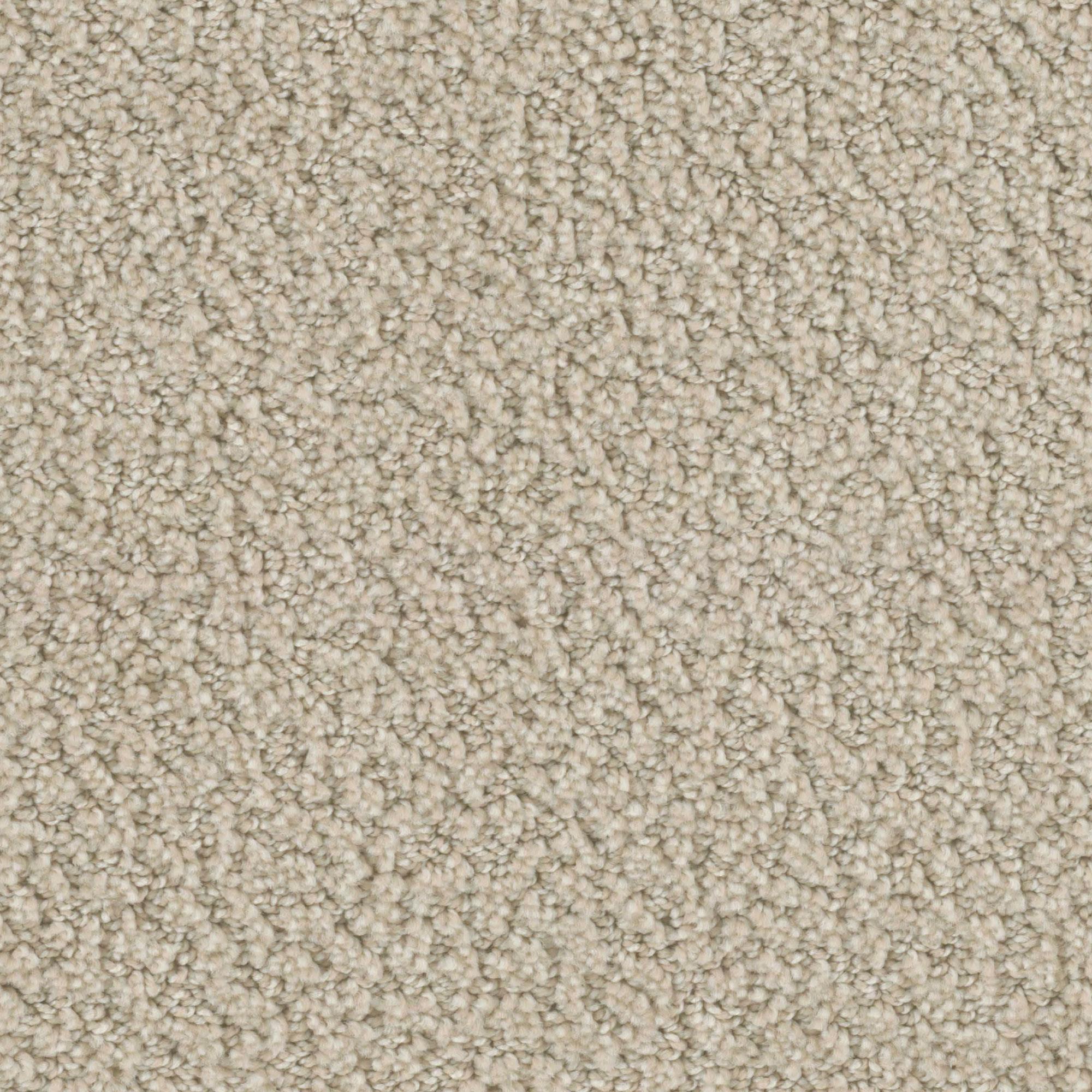 Phenix In The Details Carpet in Specific