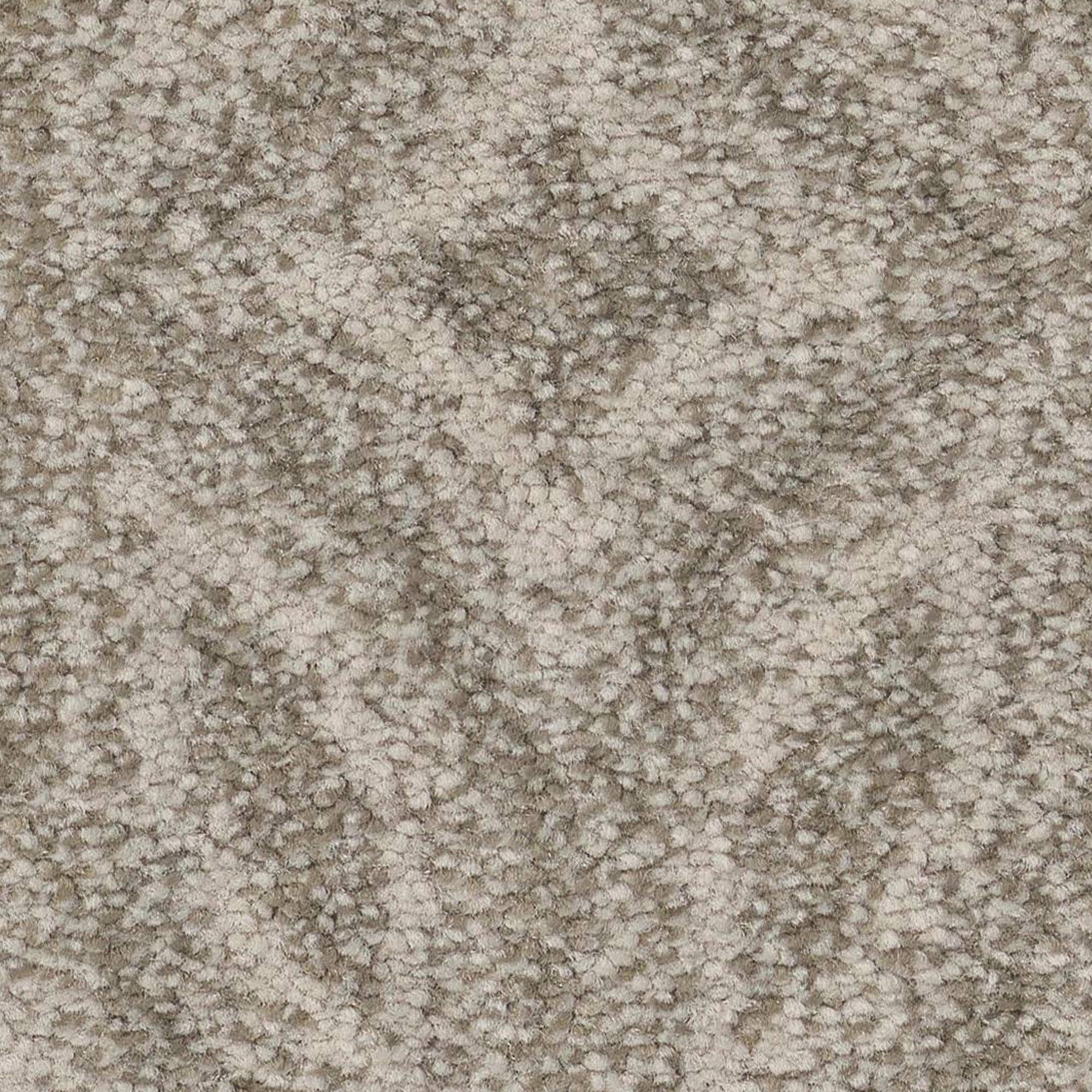 Anderson Tuftex Enlightened Carpet in Sentimental | NFM