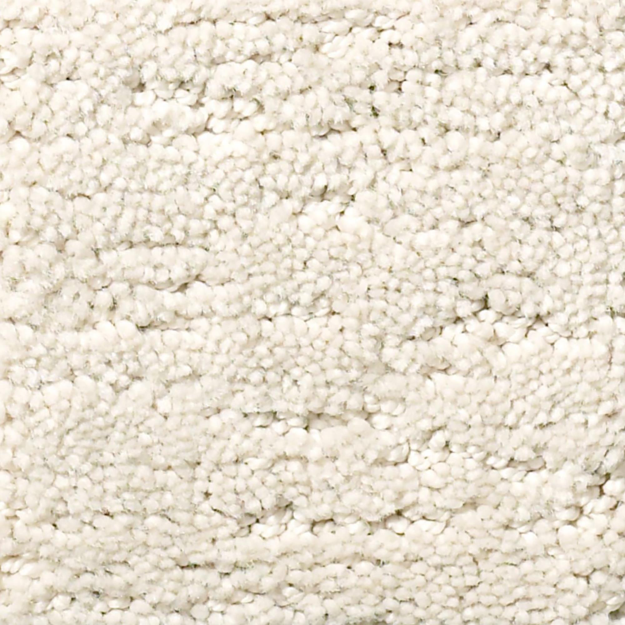 Anderson Tuftex Contour Carpet in Minimal