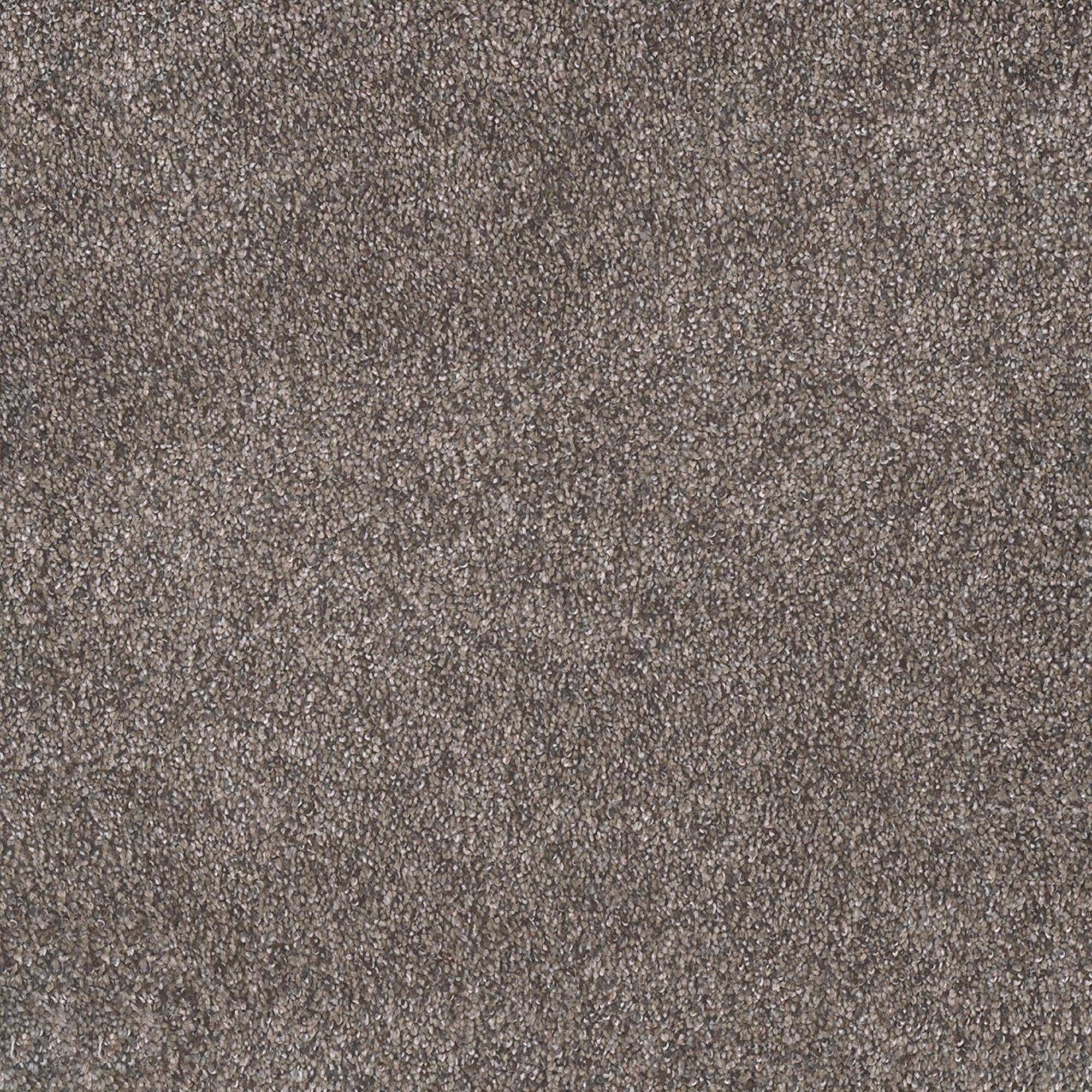 Dream Weaver Rustic Retreat II Carpet in High Sierra