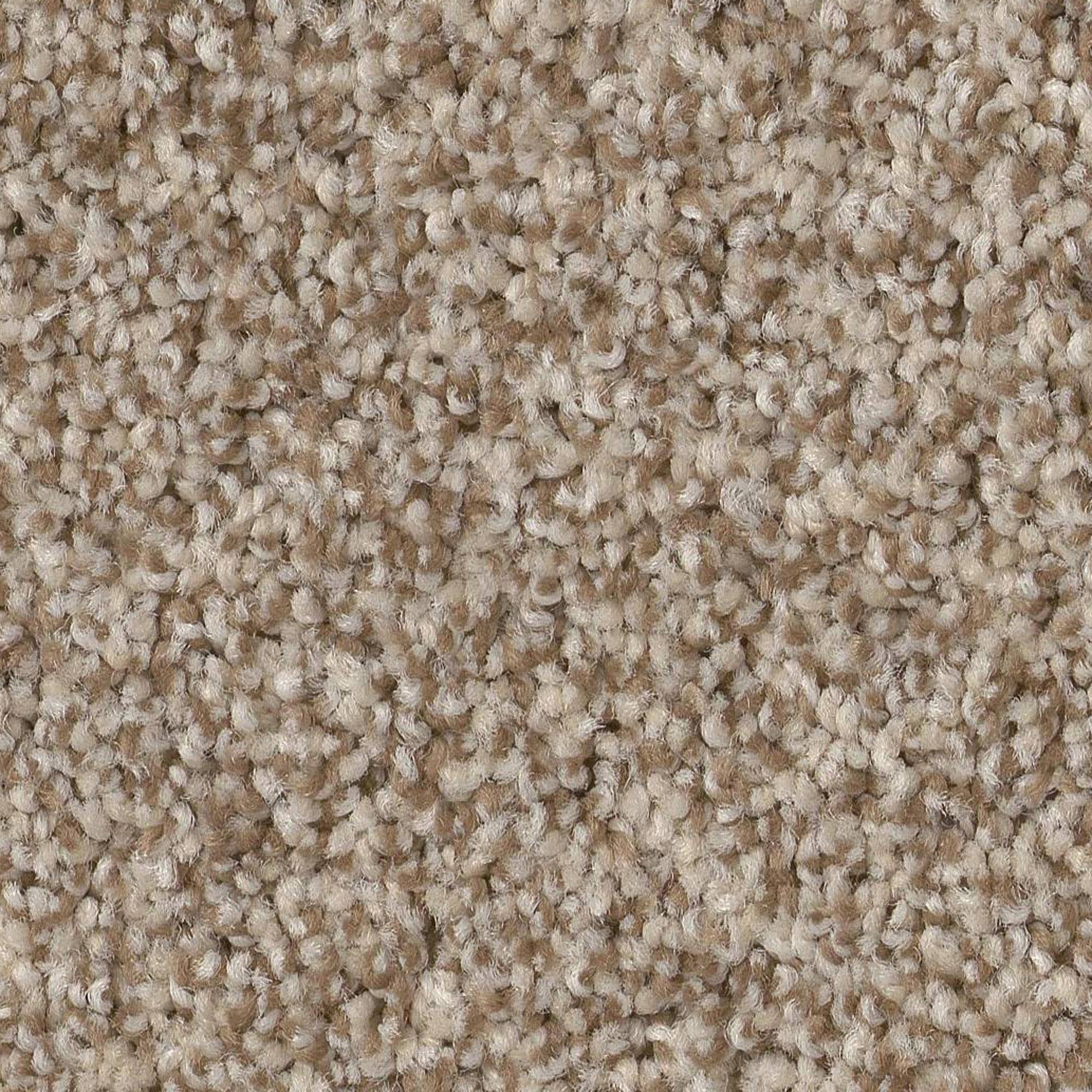 Anderson Tuftex Bossa Nova Carpet in Cascade | NFM