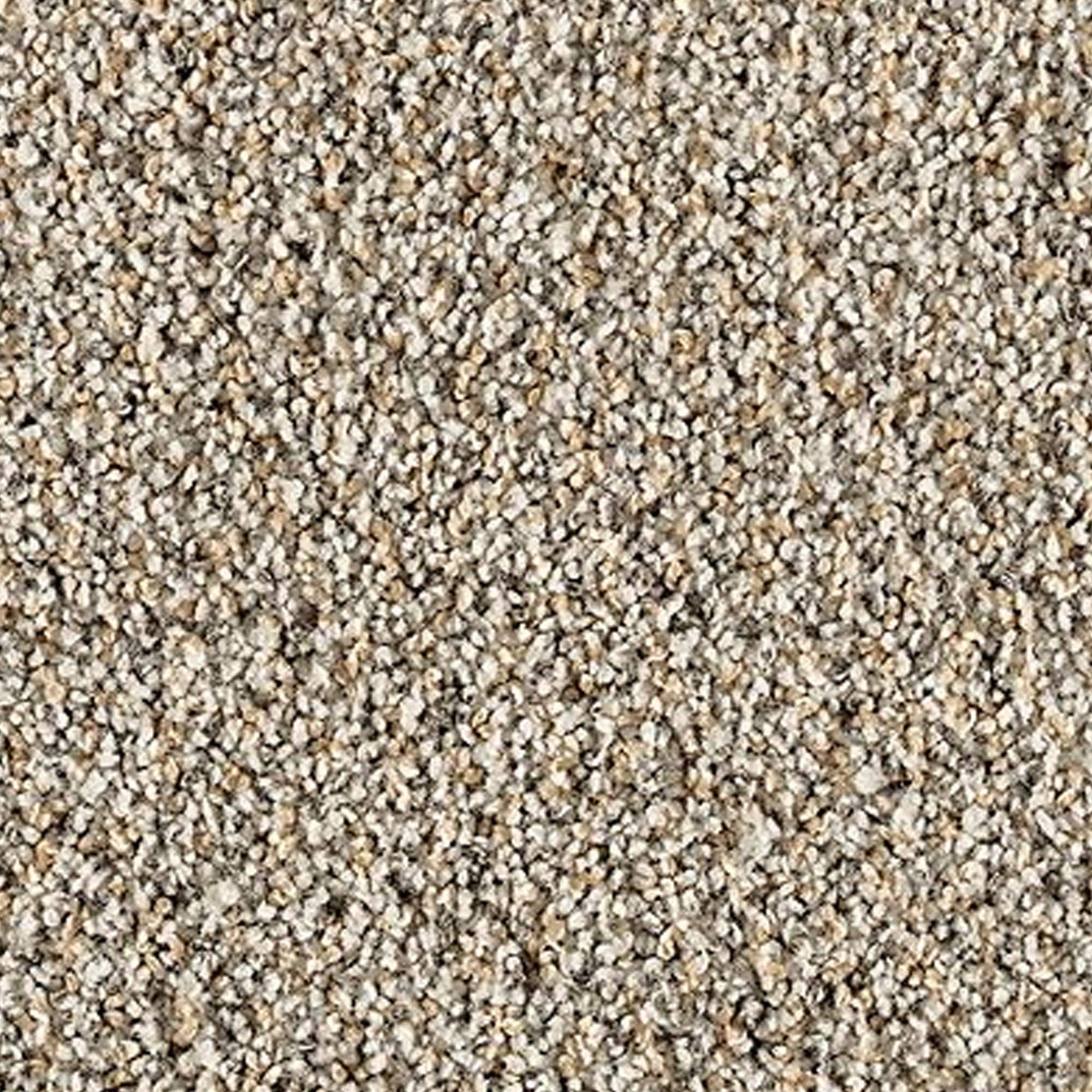 Mohawk SmartStrand Silk Luxuriant Surface Carpet in Flute