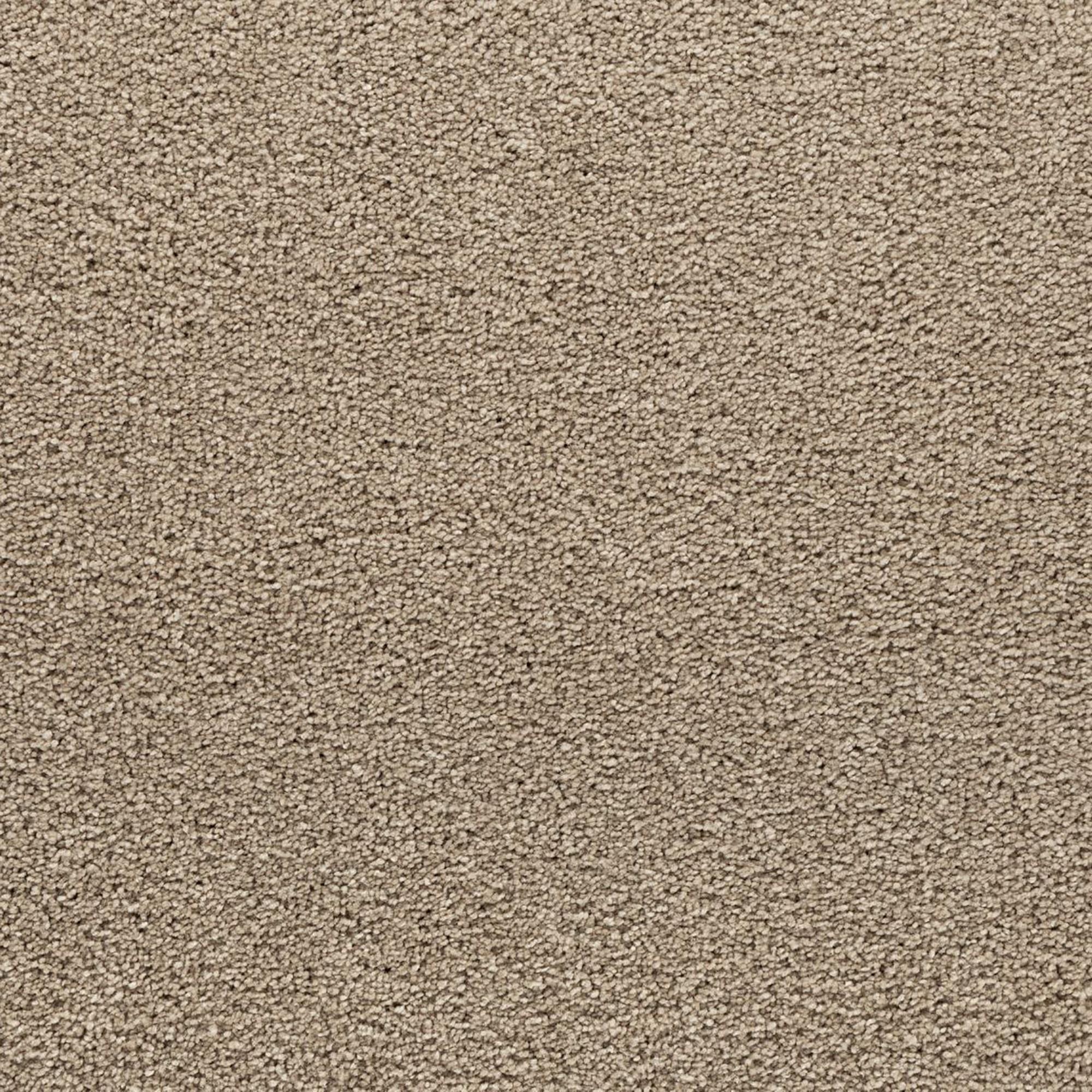 Mohawk Natural Confidence Carpet in Cape Cod