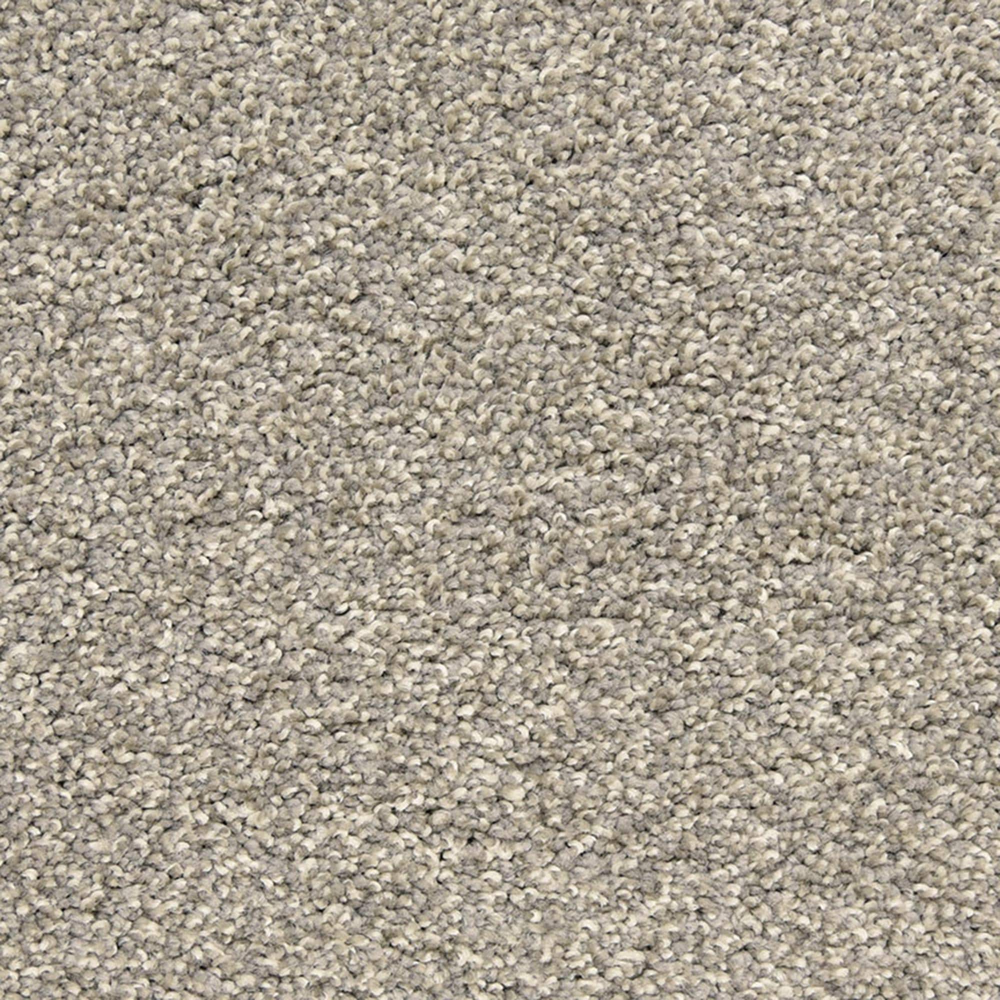 Dixie Home Natural Beauty Carpet in Dove