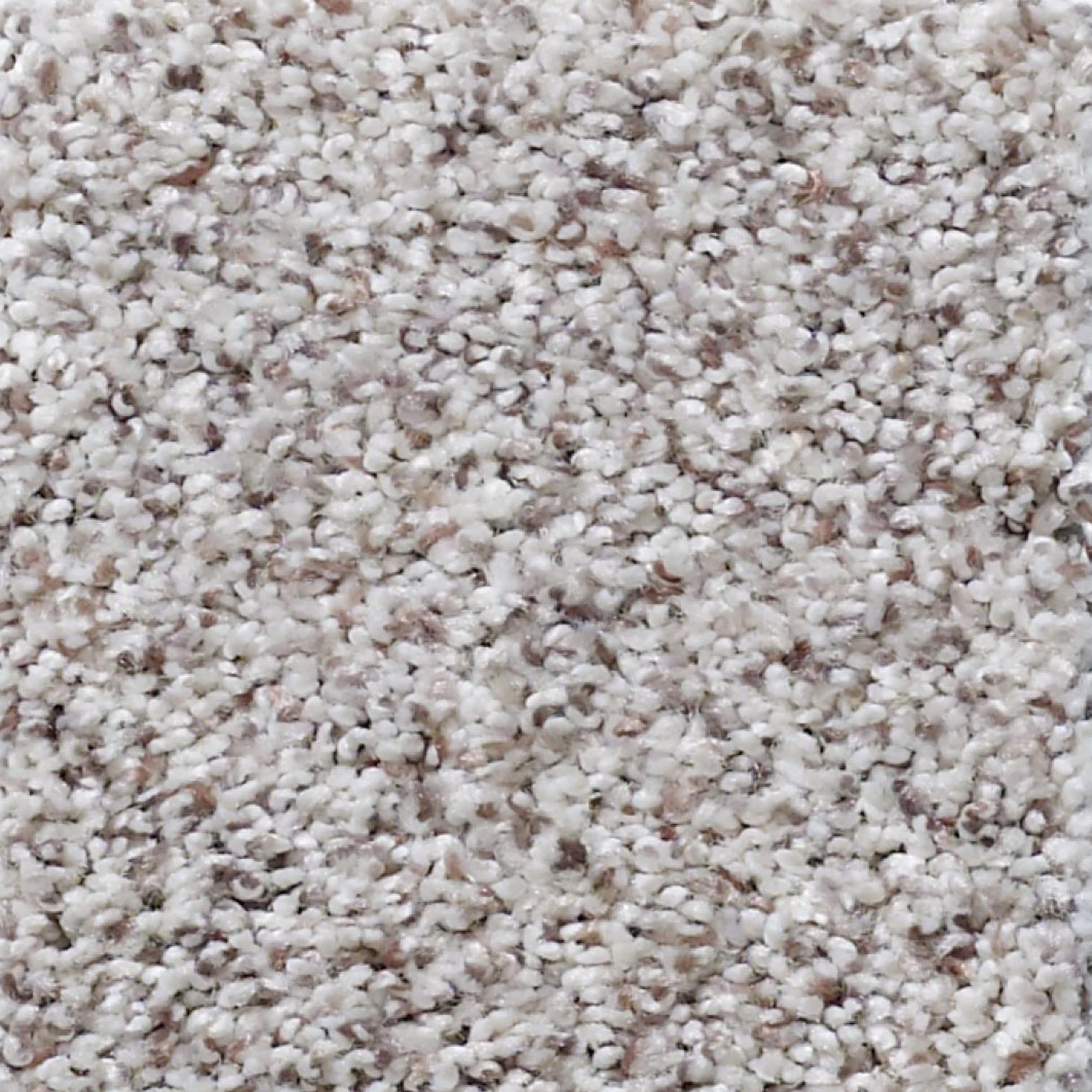 Shaw Detailed Artistry I Carpet in Snowcap