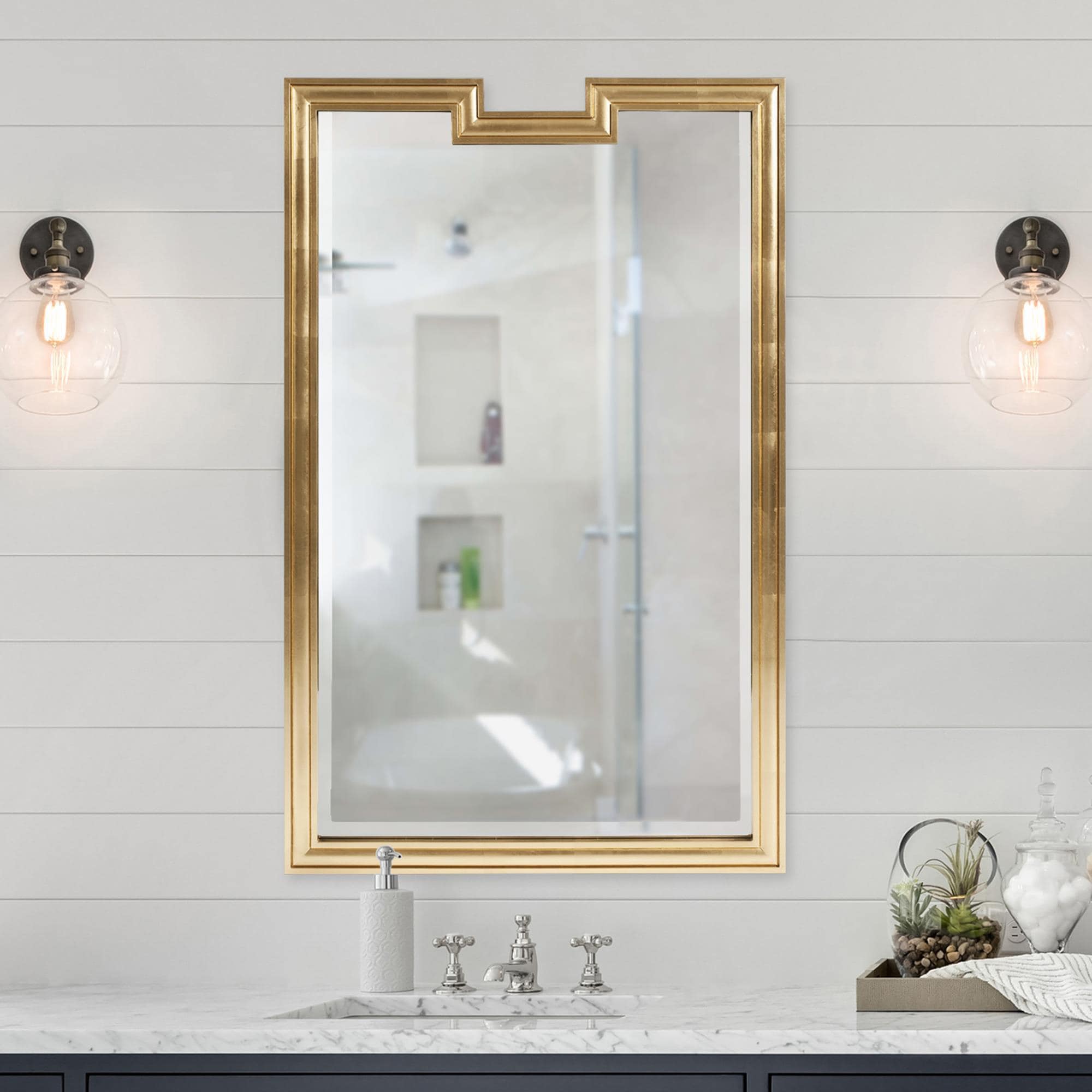 Howard Elliott Danube Mirror