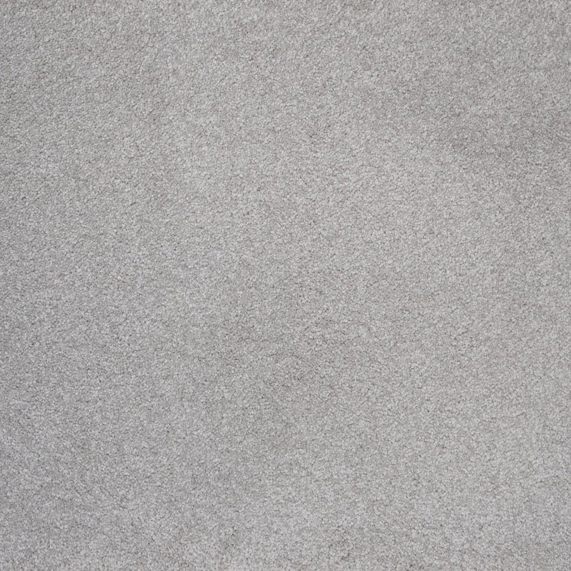 Stanton Evolve Carpet in Greige
