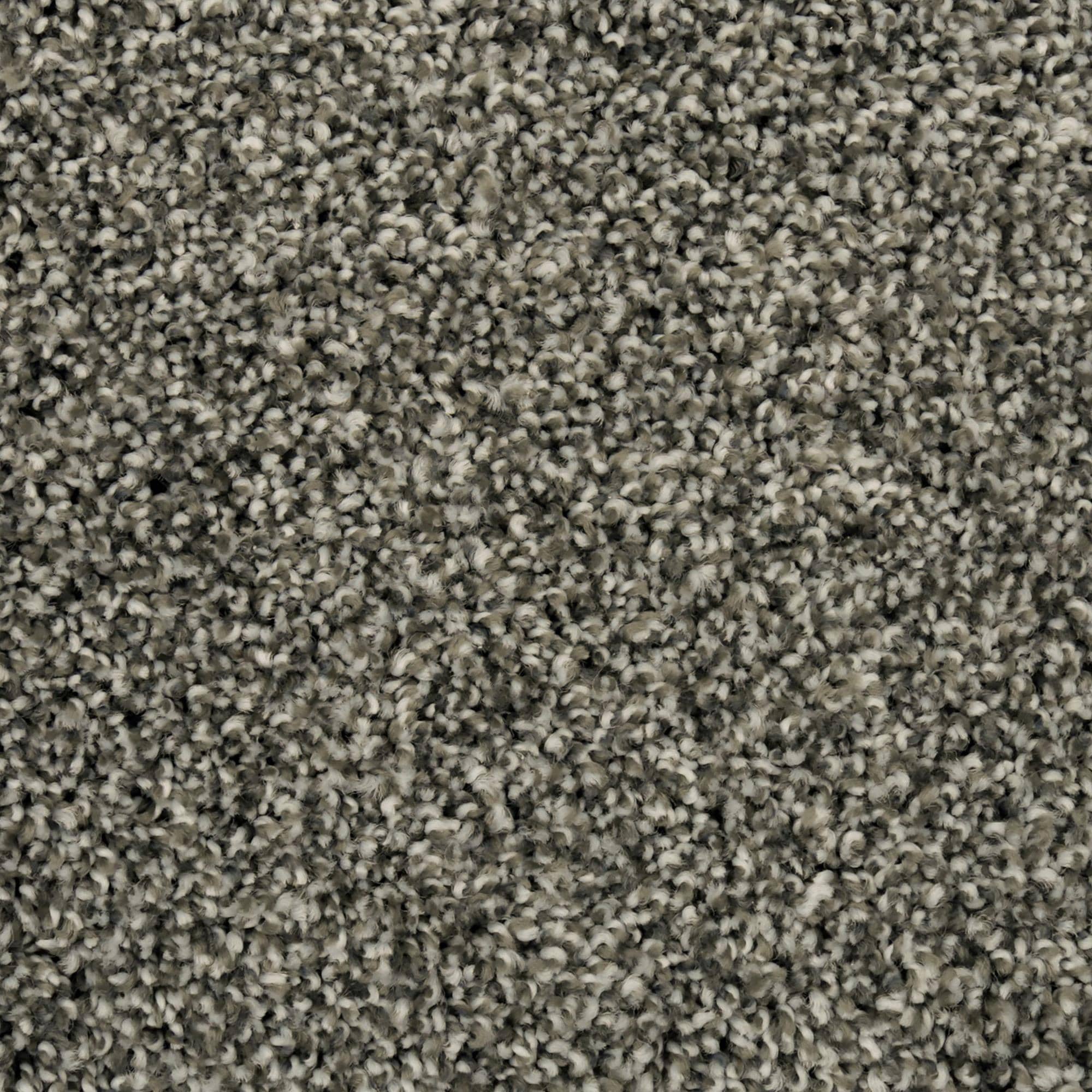 Karastan Fascinating Glamour Carpet in Stone Path