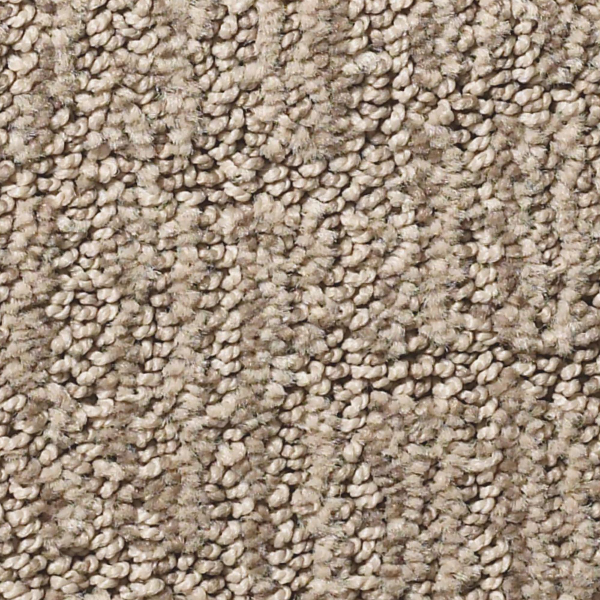Anderson Tuftex Wanderer Carpet in Plains | Shop NFM