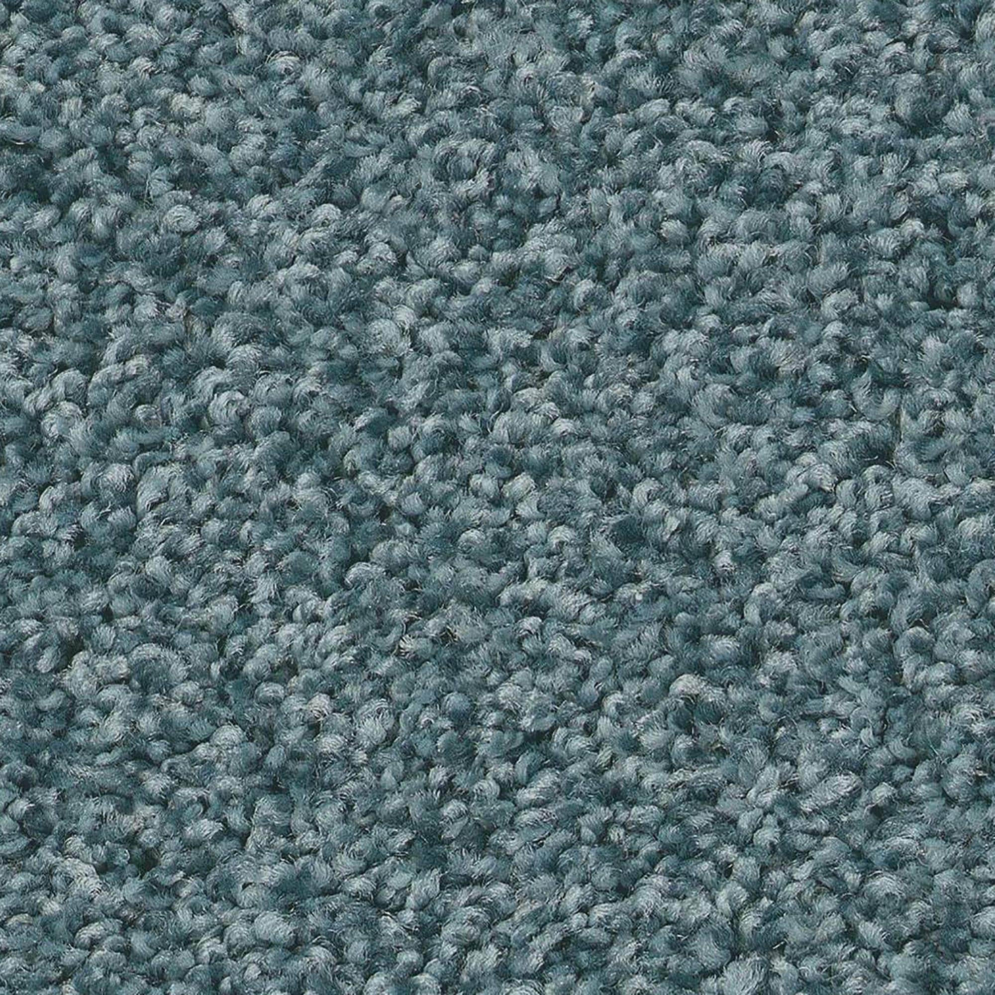 Shaw Tonal Comfort Ii Carpet in Life Of The Party