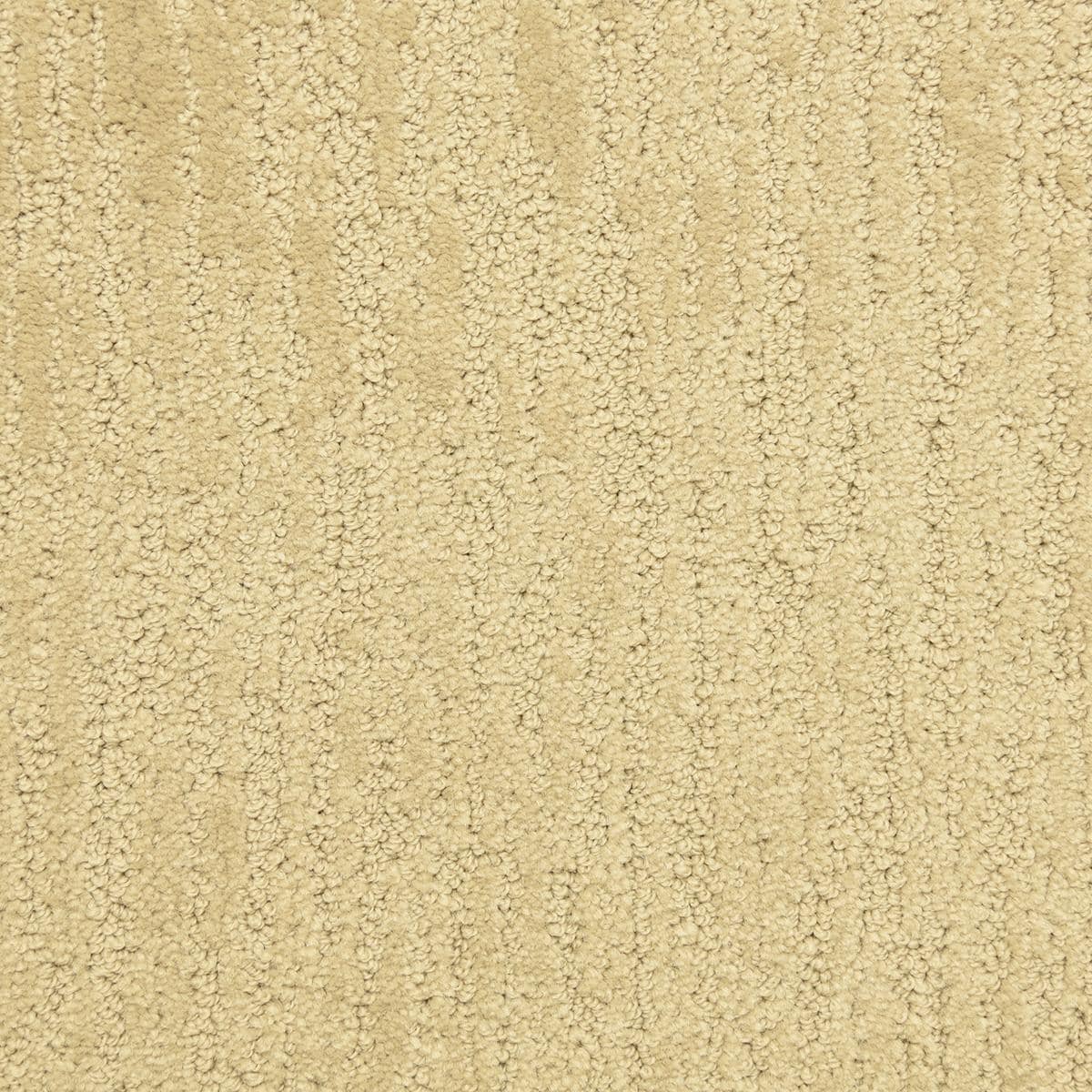 Dixie Home Legacy Carpet in Tuscan Gold