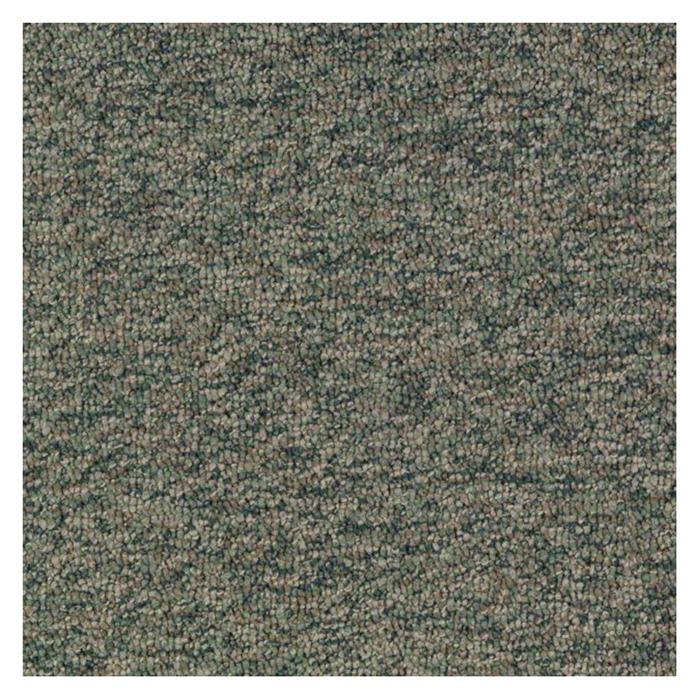 Shaw Franchise Carpet in Lily Pad