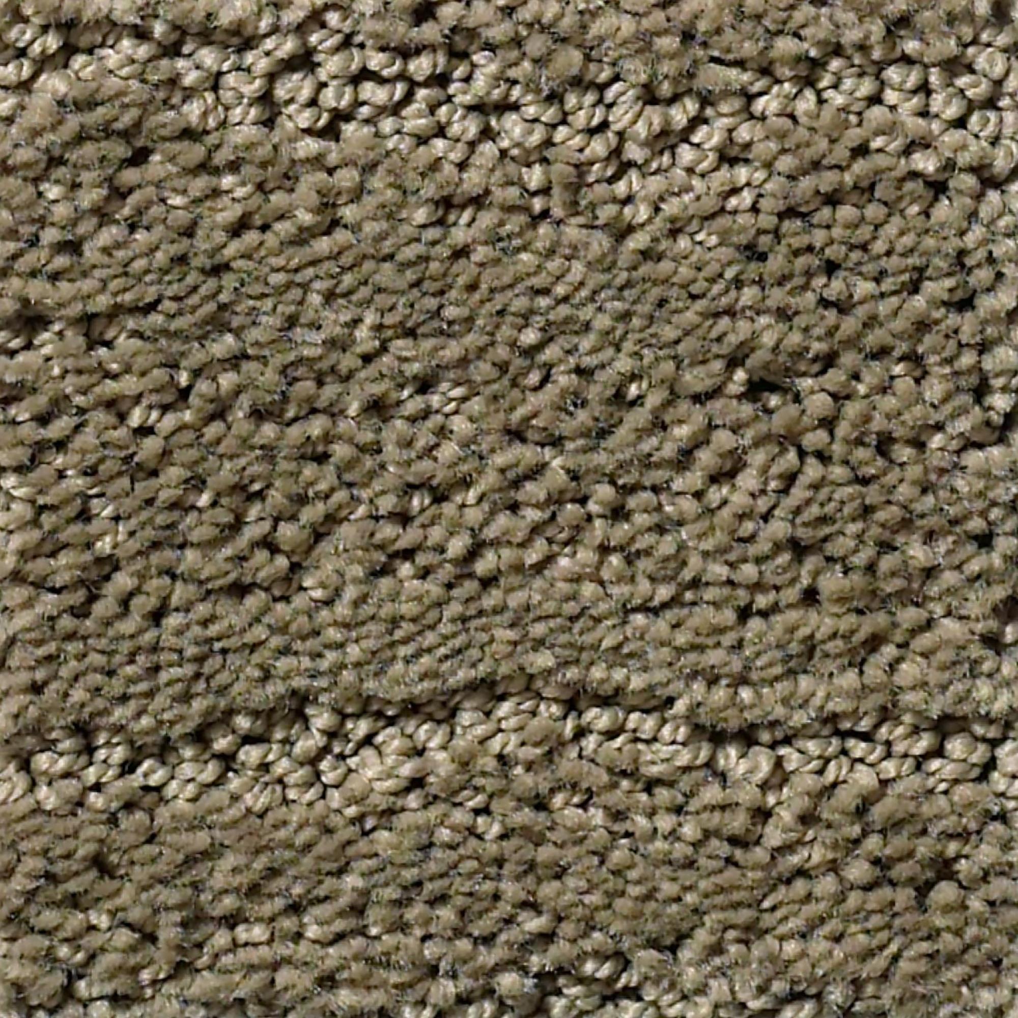 Anderson Tuftex Matisse Carpet in Herbal