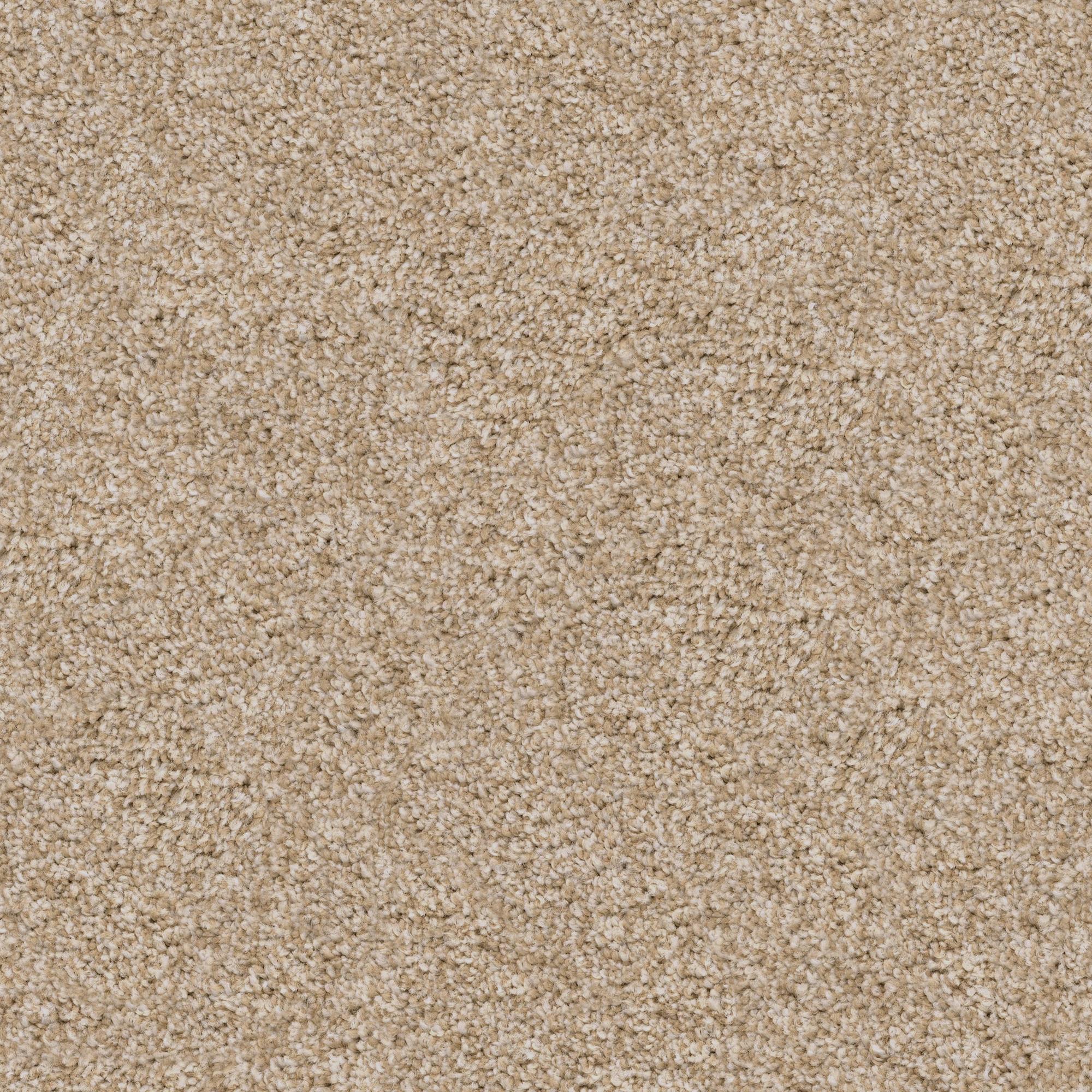 Dixie Home Guard Carpet in Bulldog