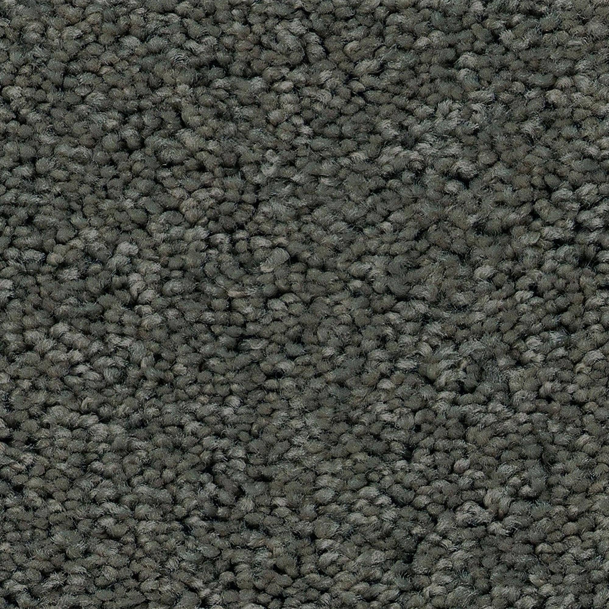 Shaw Las Cruces Carpet in Fig Leaf