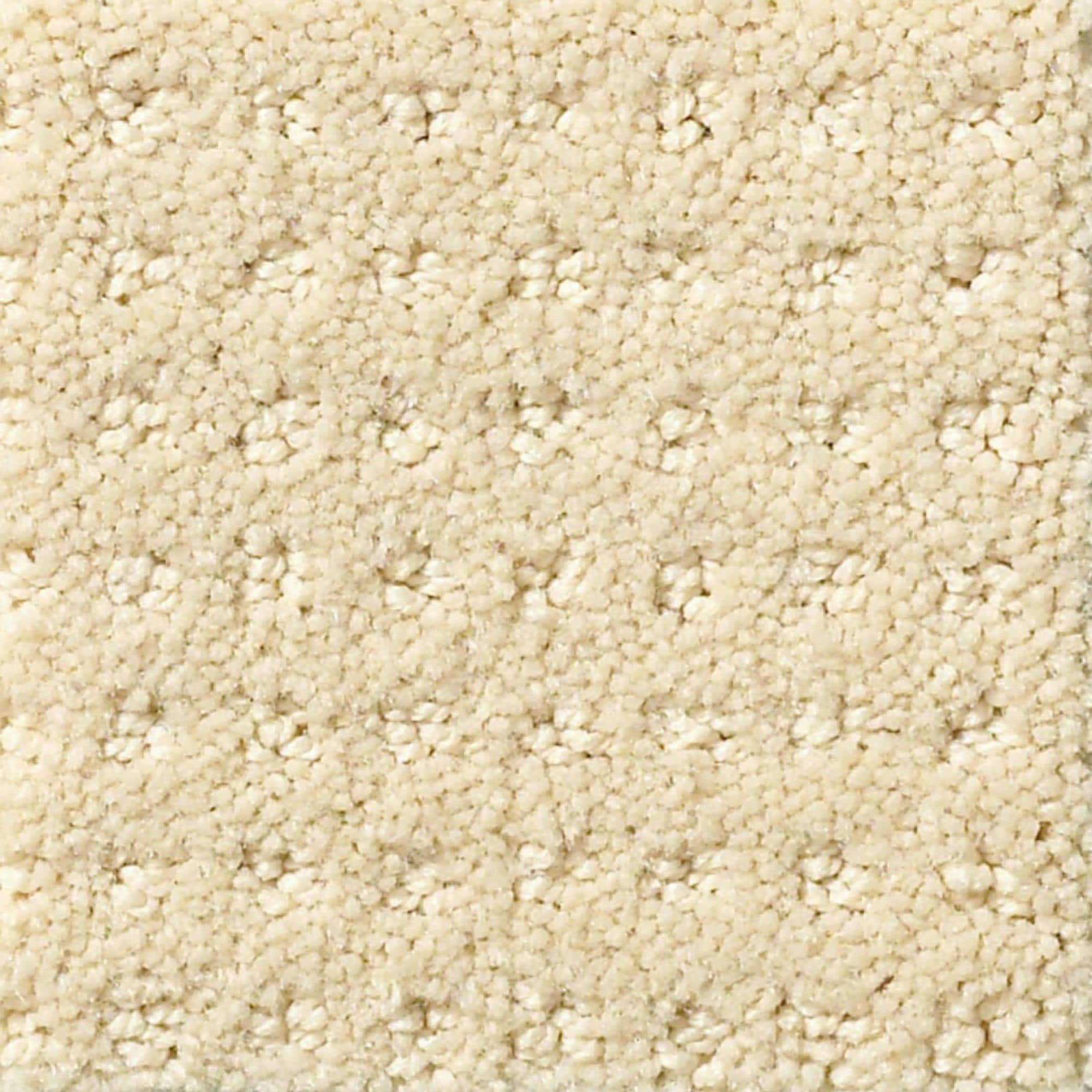 Shaw Detailed Elegance Patterned Carpet in Candlewick Glow | NFM