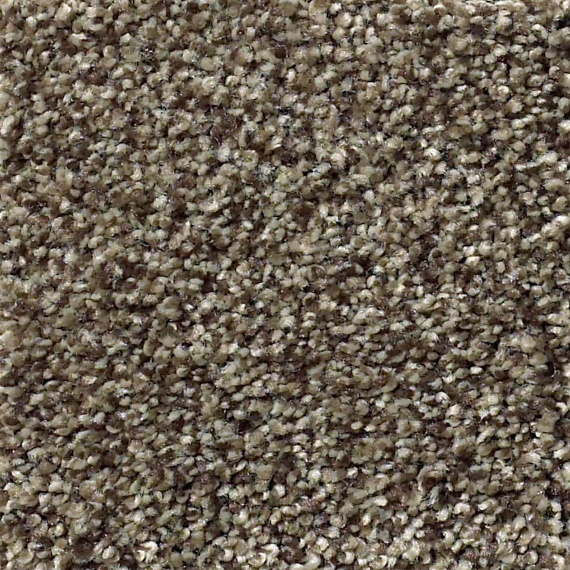 Shaw Tonal Comfort Blue Carpet in Summer House