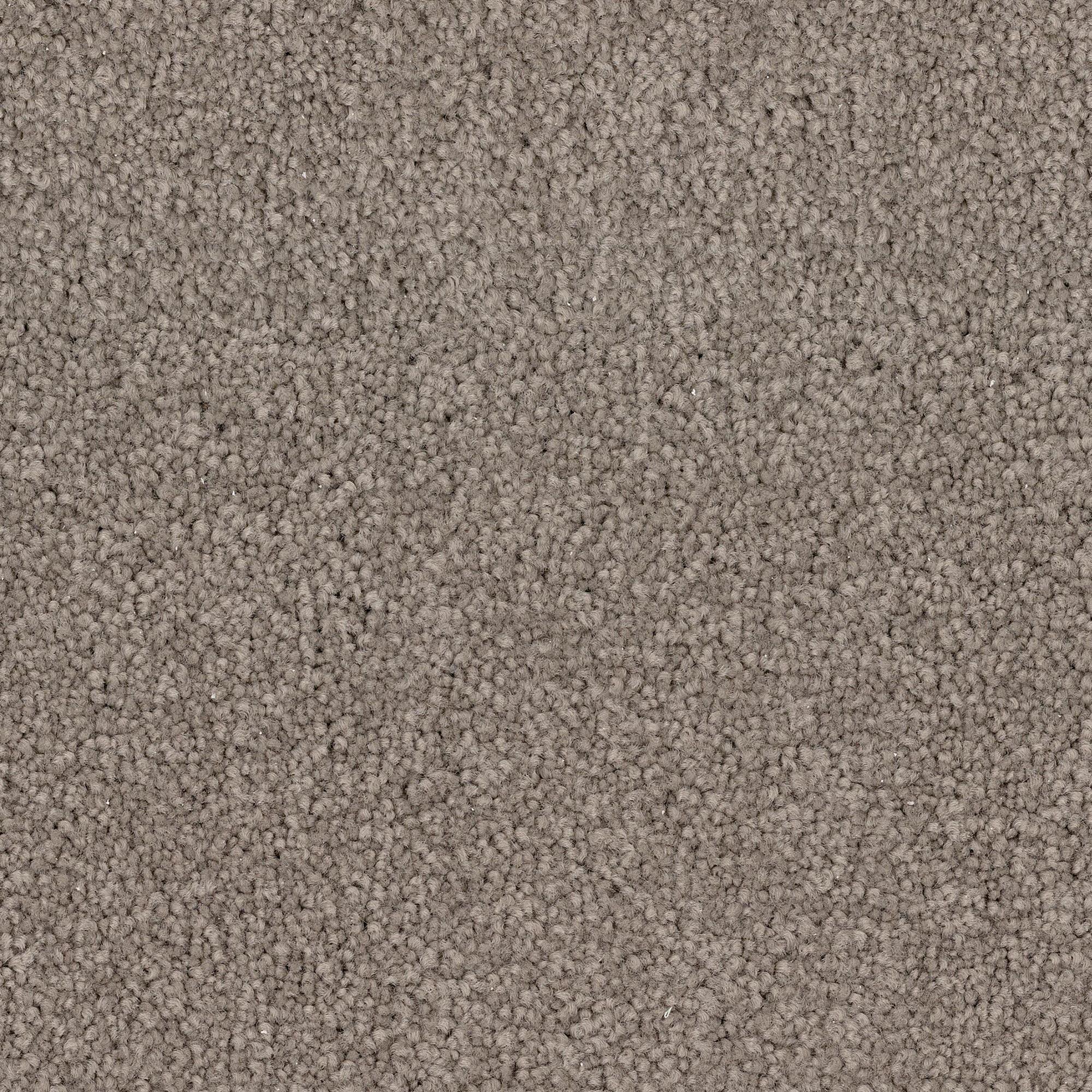 Dixie Home Gentle Wind Carpet in Boat Dock