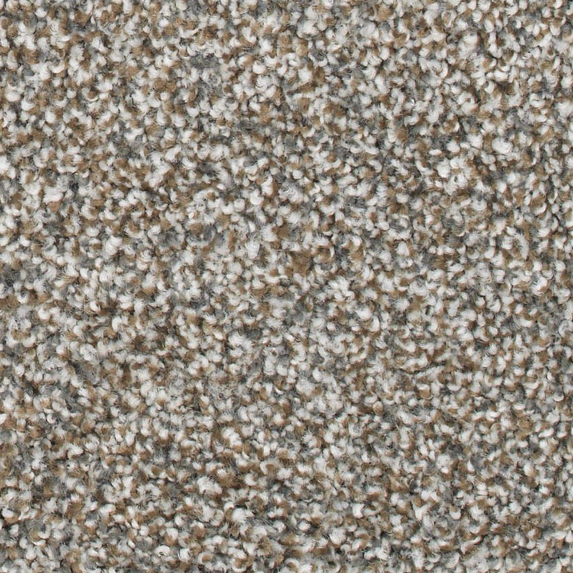 Karastan Fascinating Allure Carpet in Frontier