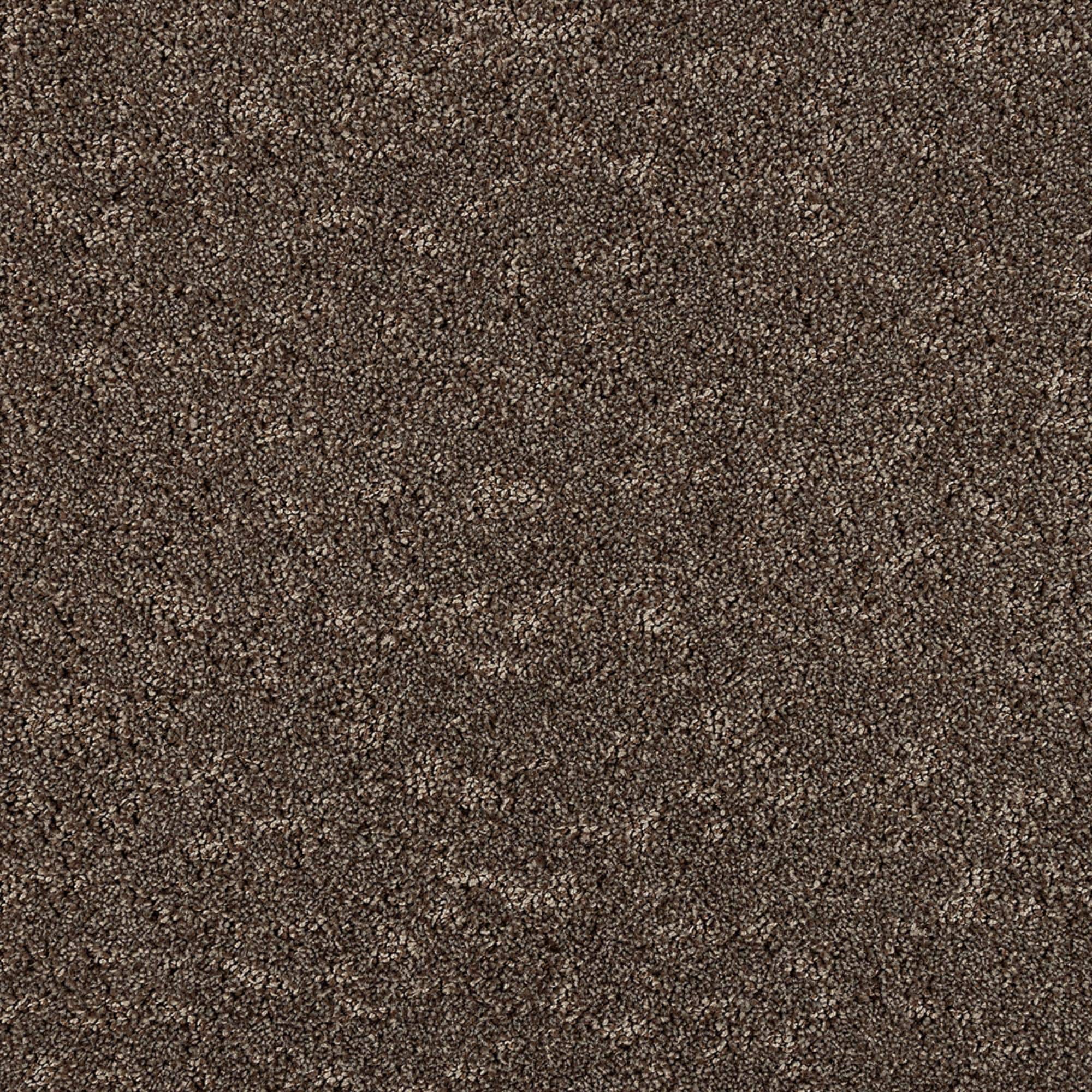 Mohawk Mineral Effects Carpet in Walnut