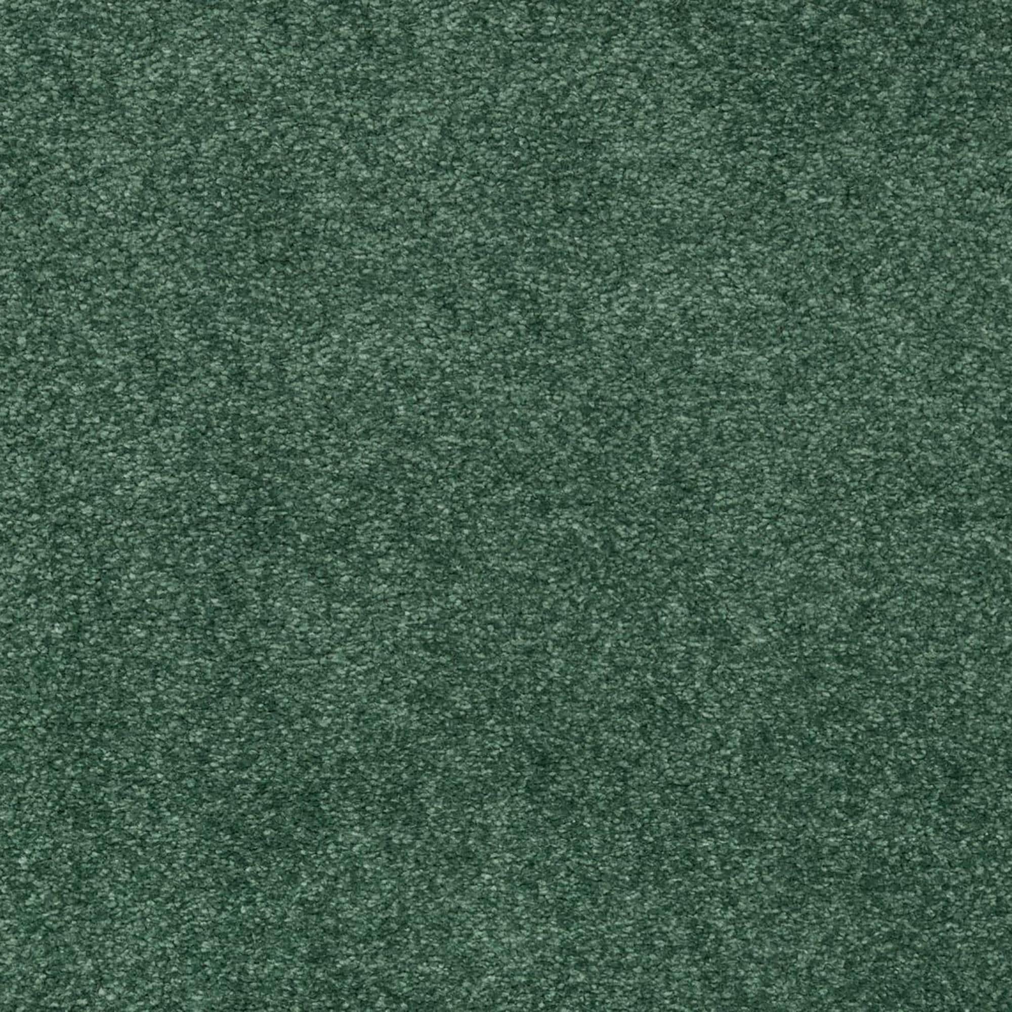 Karastan Sensational Allure Carpet in Elvin Forest