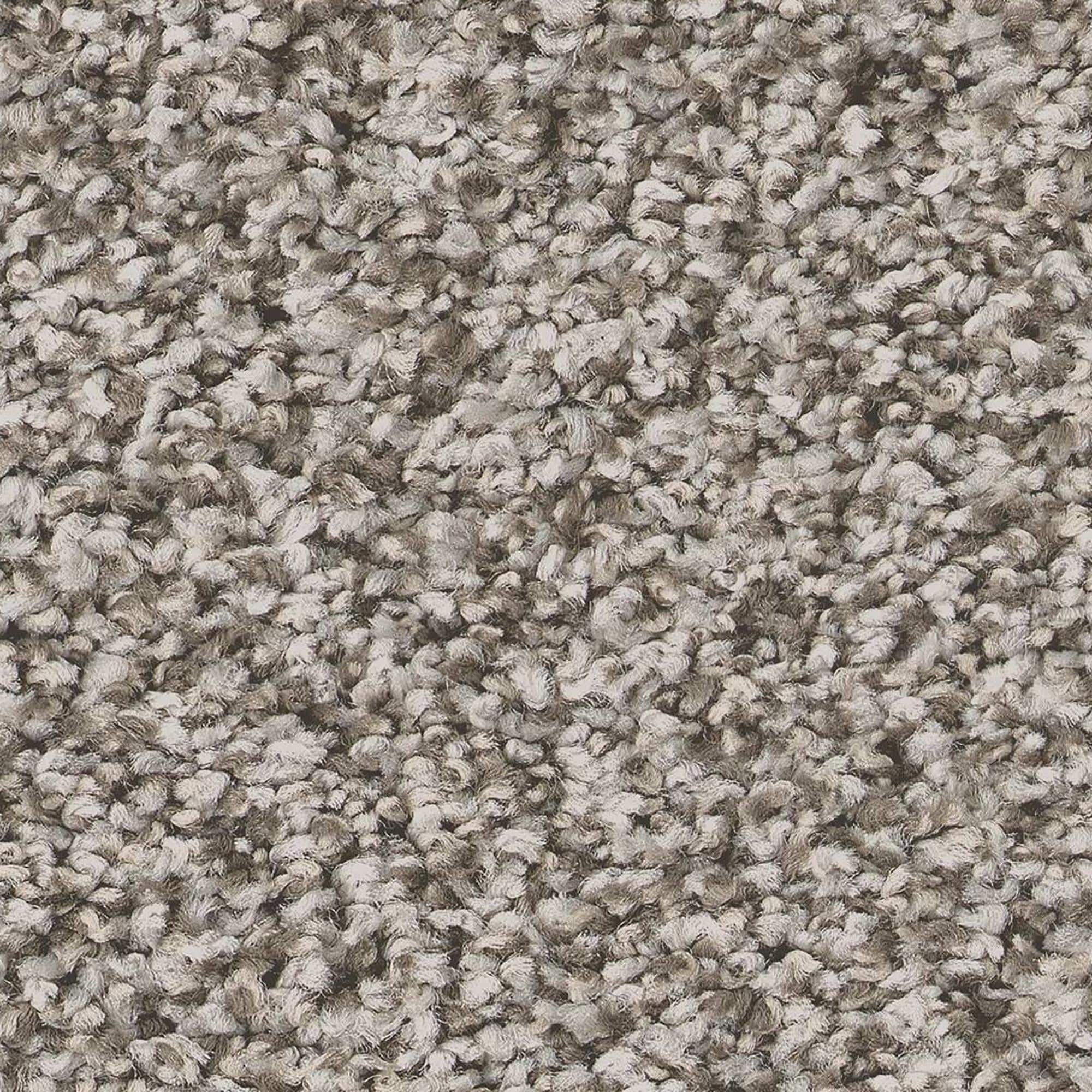 Shaw Tweed Comfort Blue Carpet in Stand Out