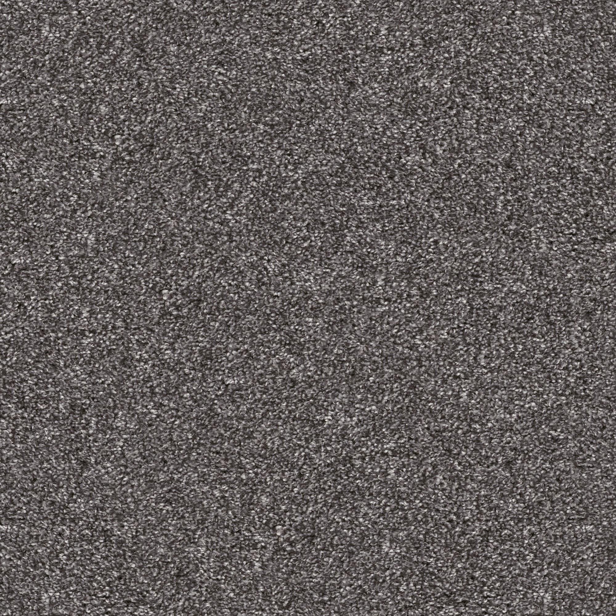 Shaw Yes You Can II Carpet in Shadow