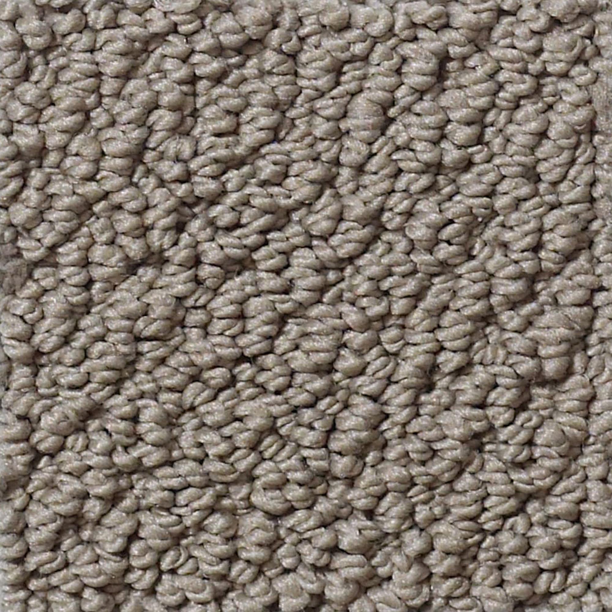 Shaw Detailed Statement Loop Carpet in Rustic Elegance