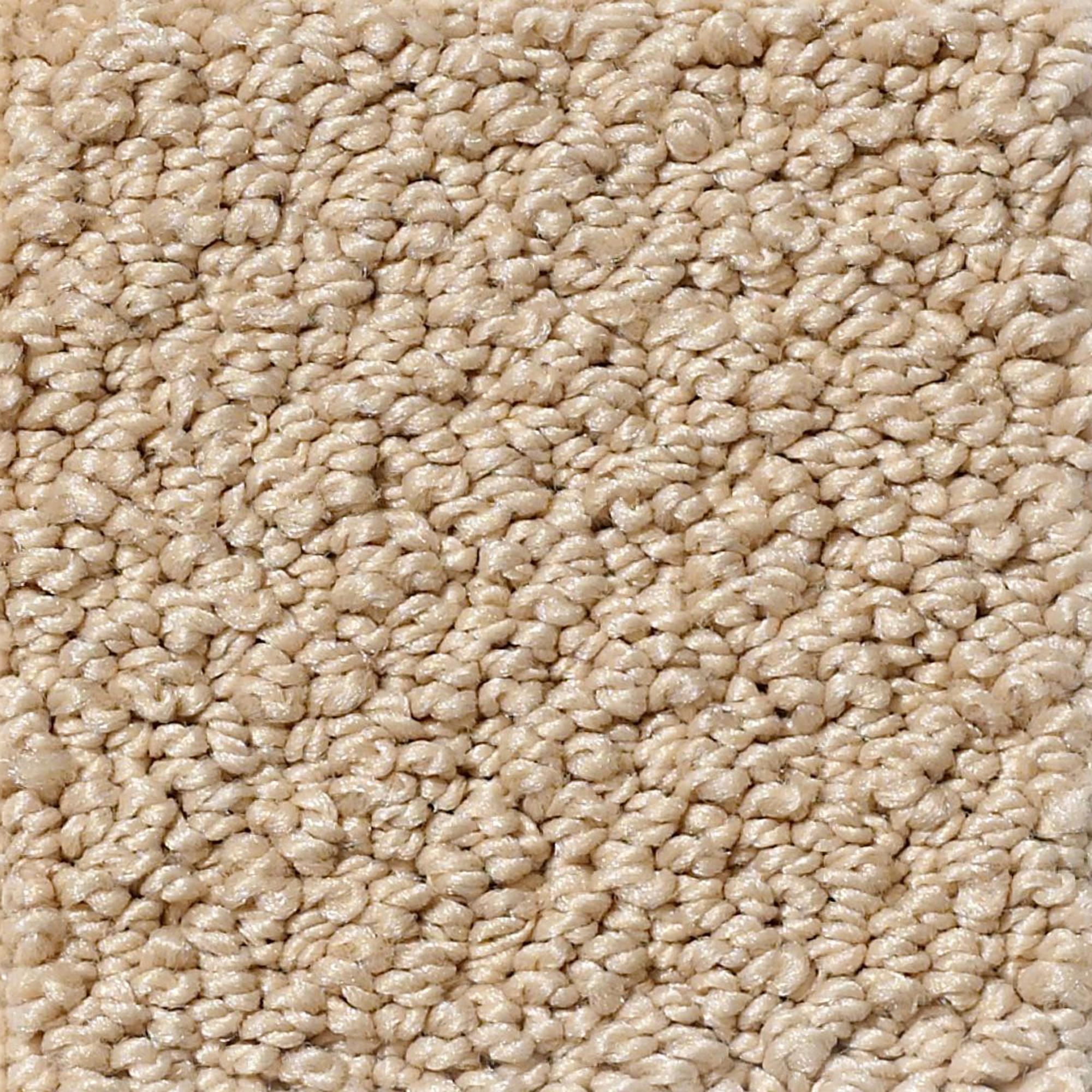 Shaw Detailed Statement Loop Carpet in Mesa
