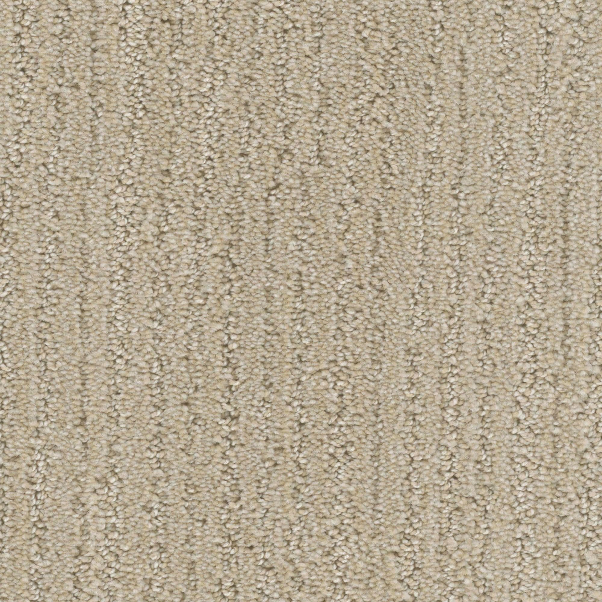 Phenix All Inclusive Carpet in Cosmopolitan | Shop NFM