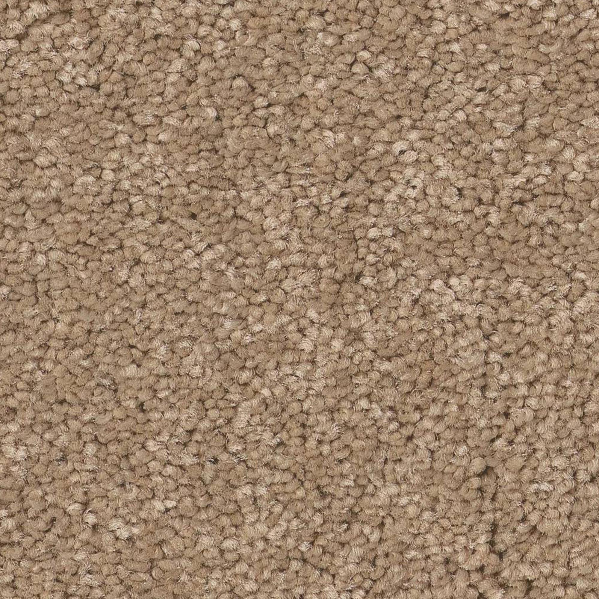 Anderson Tuftex Enduring Charm Carpet in Natural