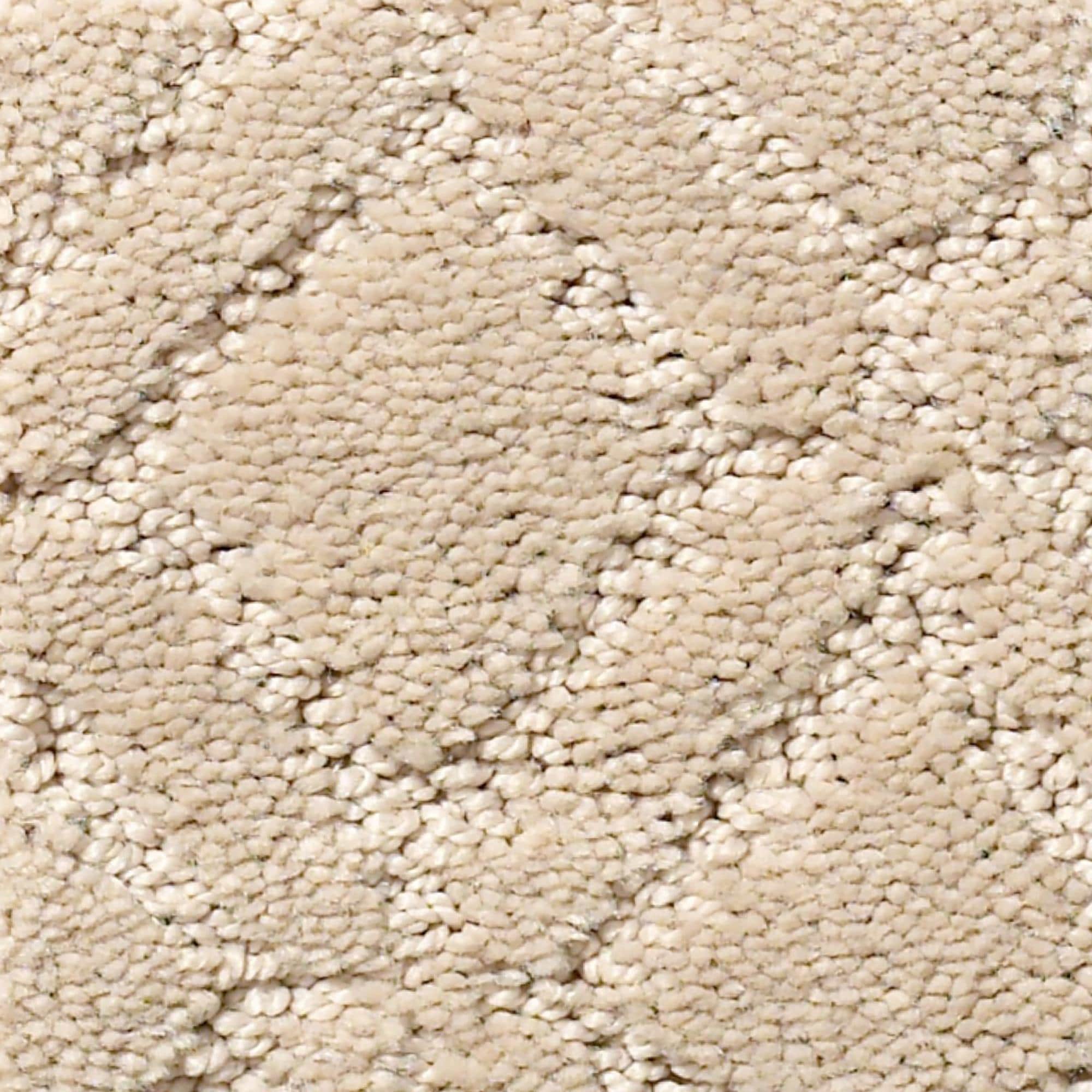 Anderson Tuftex Renoir Carpet in Oak Ridge
