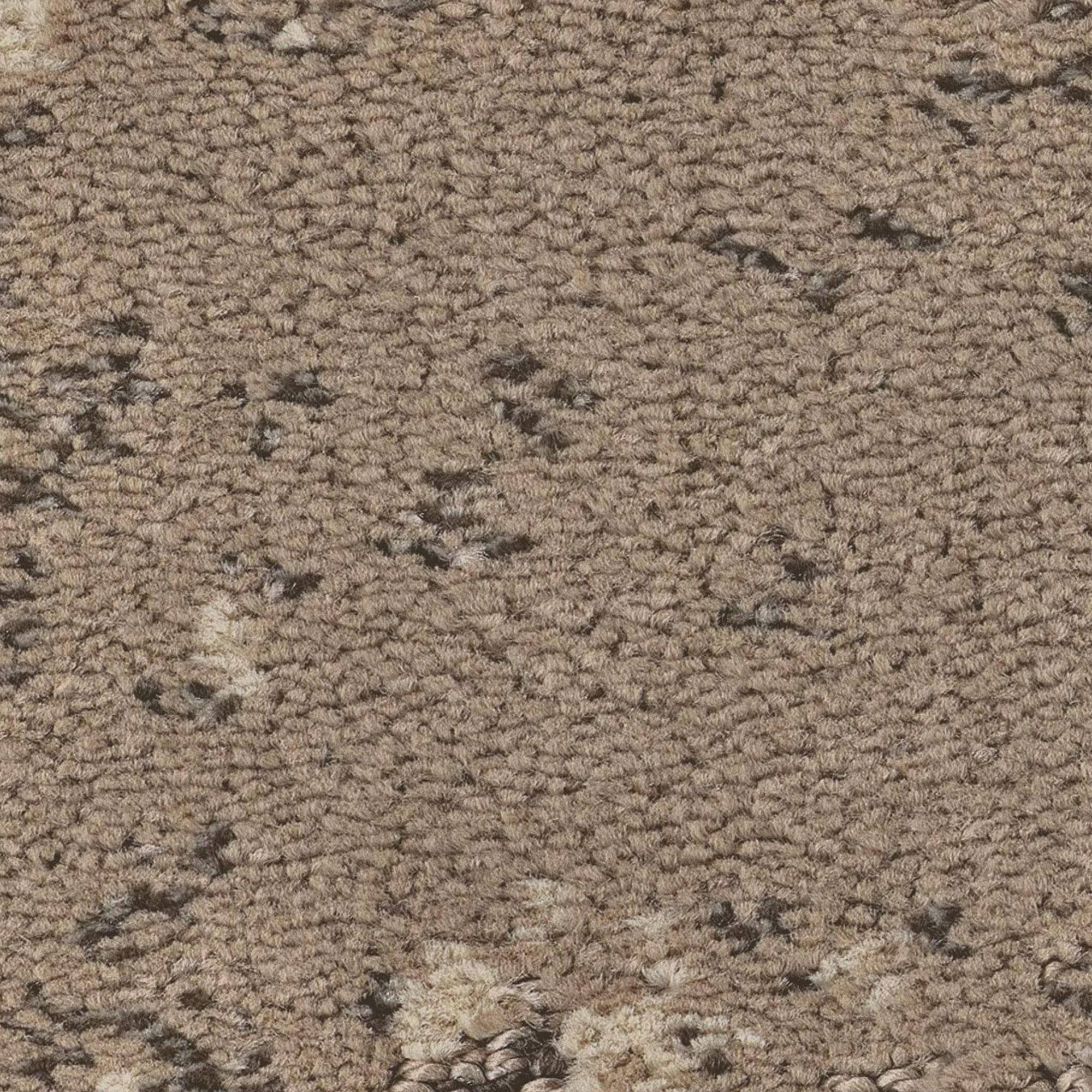 Anderson Tuftex Fancy That Carpet in Rocky Road