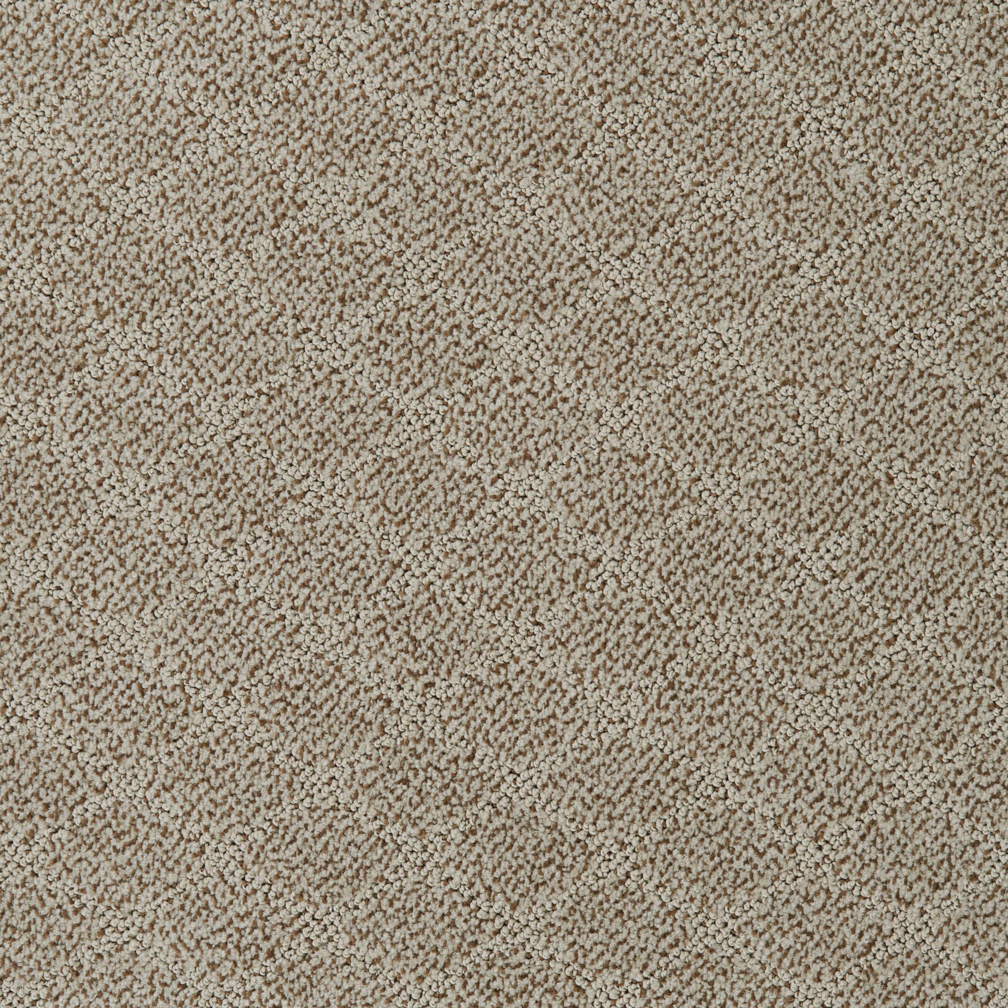 Dixie Home Culture Carpet in Sandbar | Shop NFM