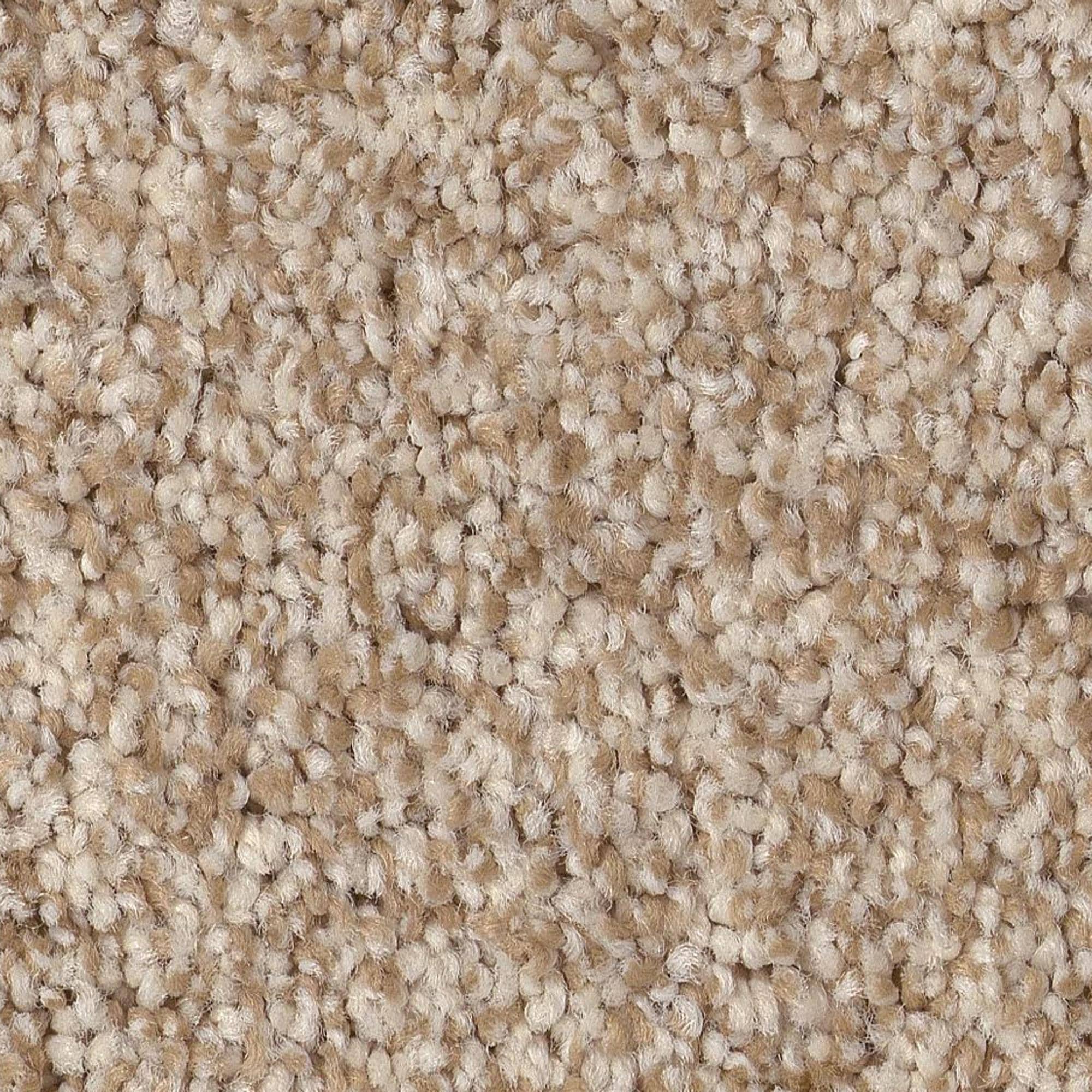 Anderson Tuftex Bossa Nova Carpet in Beach Grass