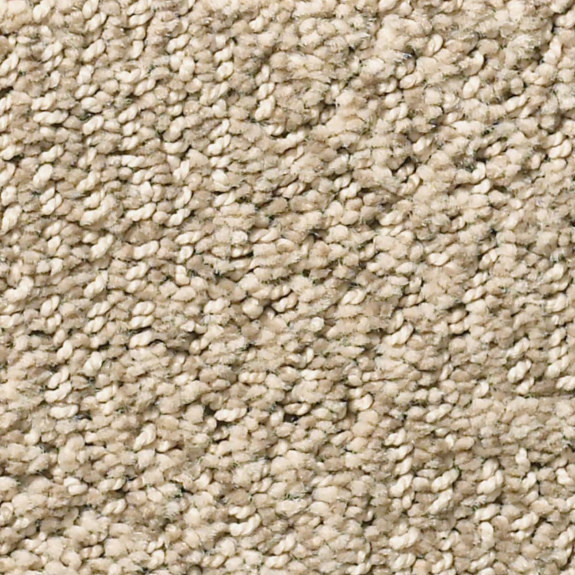 Anderson Tuftex Ario Carpet in Coastal Home | NFM