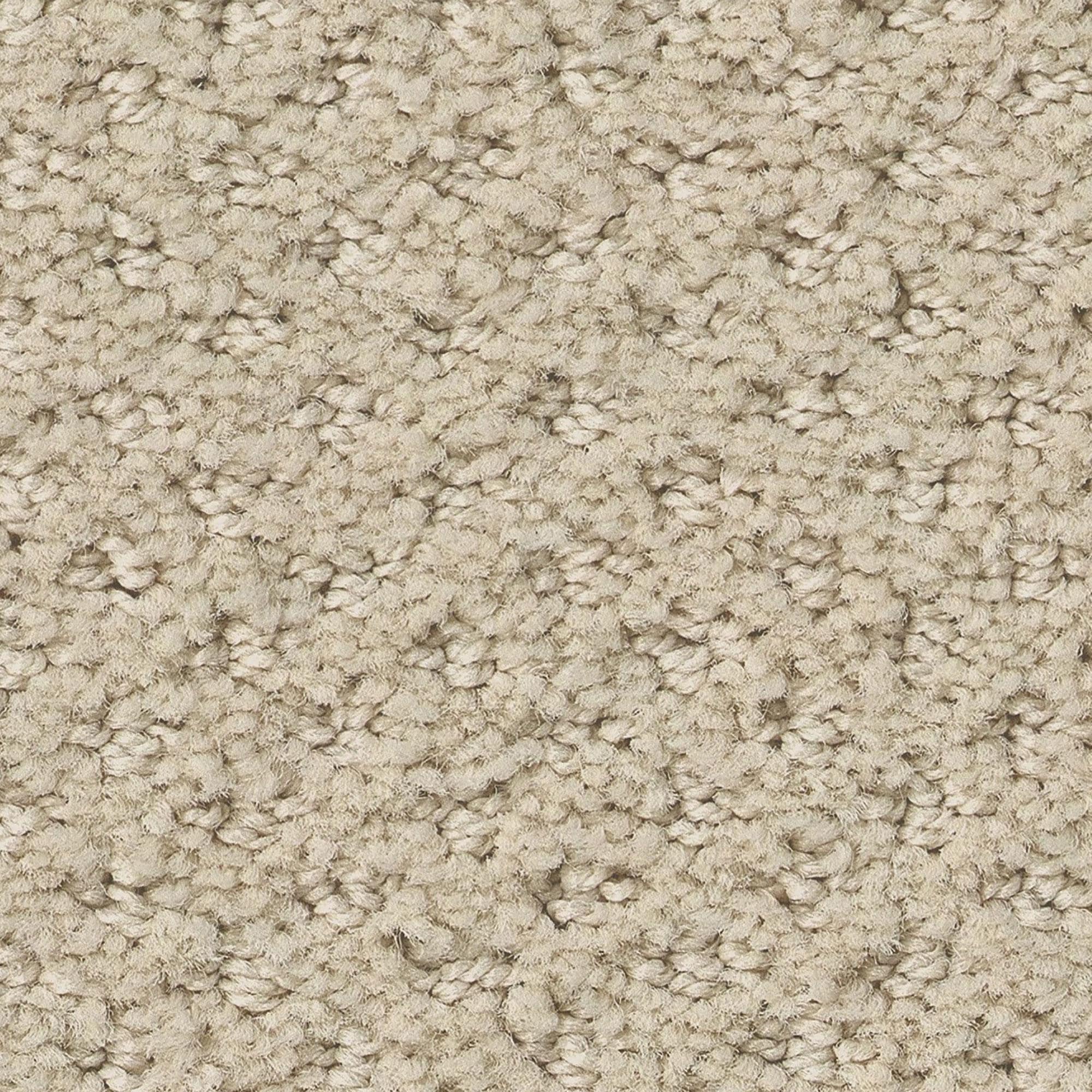 Shaw Austin Park Carpet in Sentimental