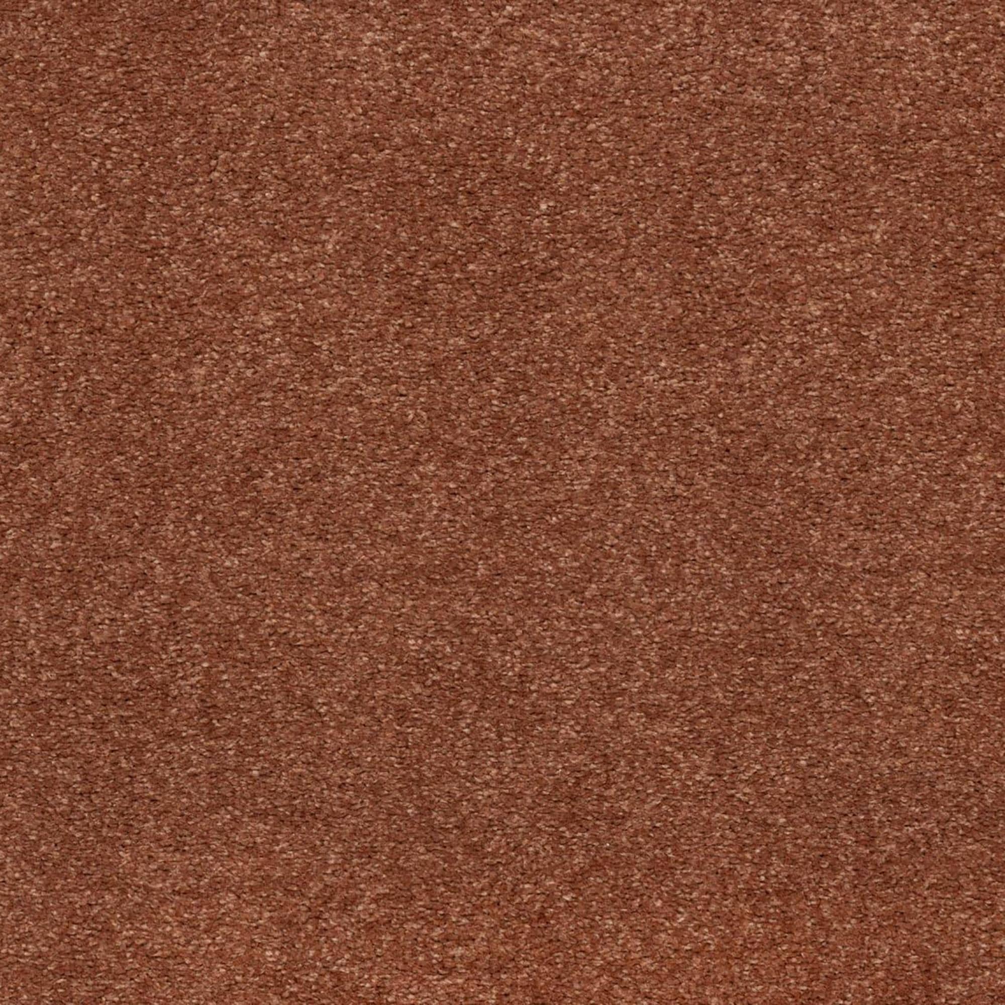 Karastan Sensational Allure Carpet in Desert Flower