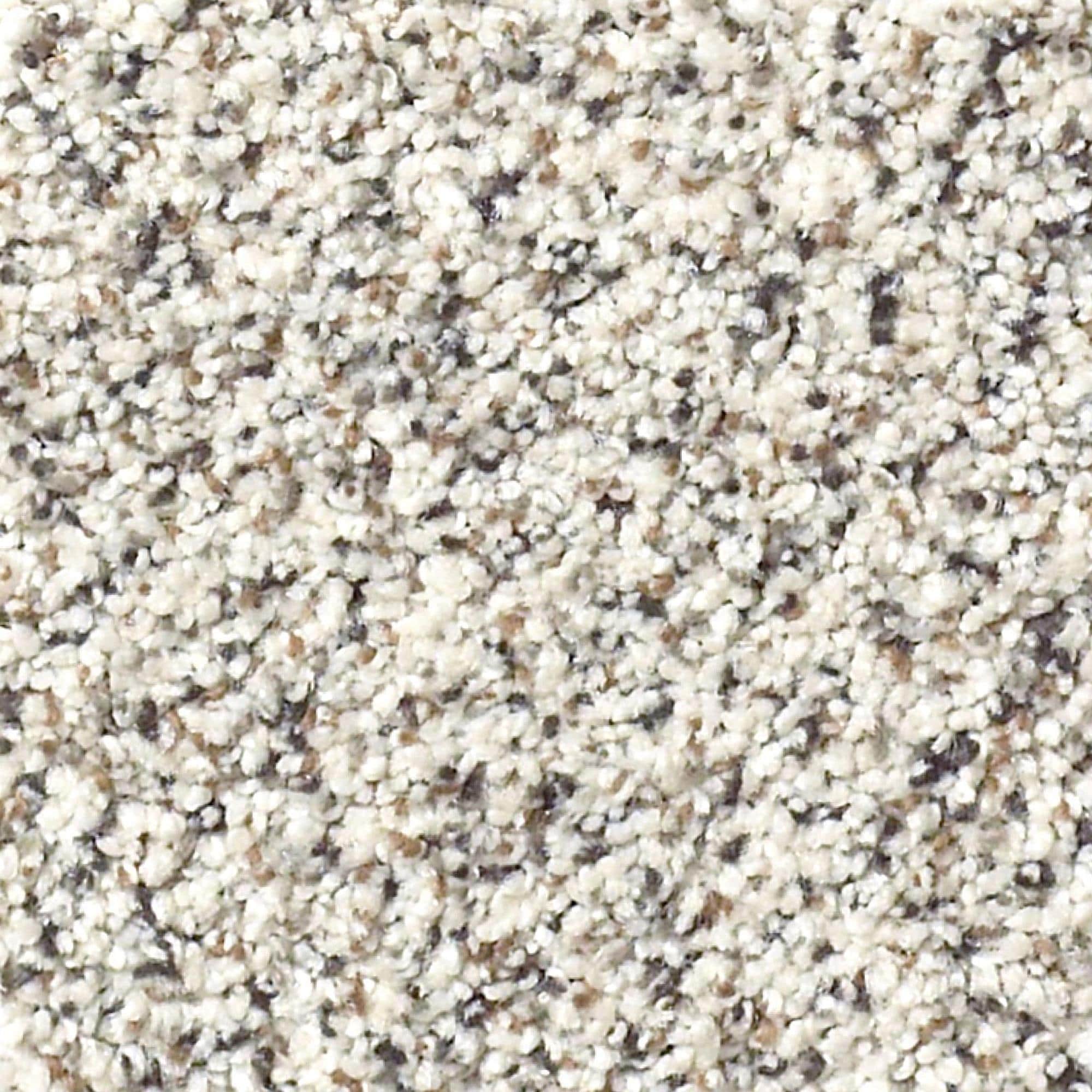 Shaw Foundations Take The Floor Accent II Carpet in Avalanche