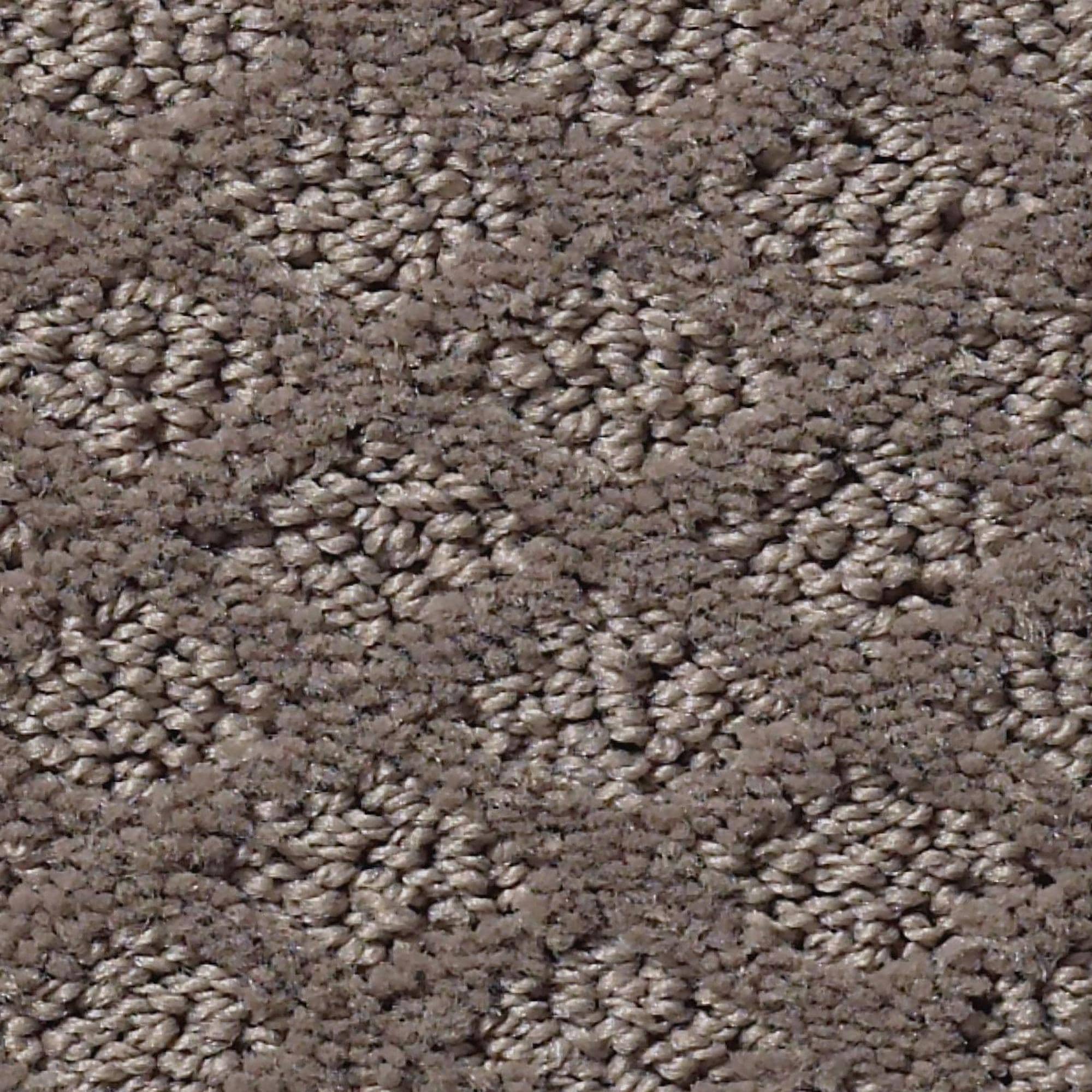 Shaw Foundations Formalize Carpet in Ridgeview