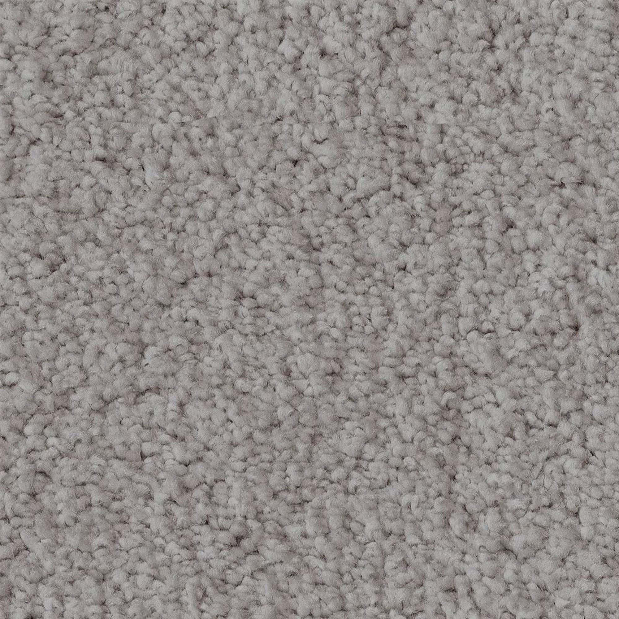 Anderson Tuftex Luxe Feel I Carpet in Classic Gray