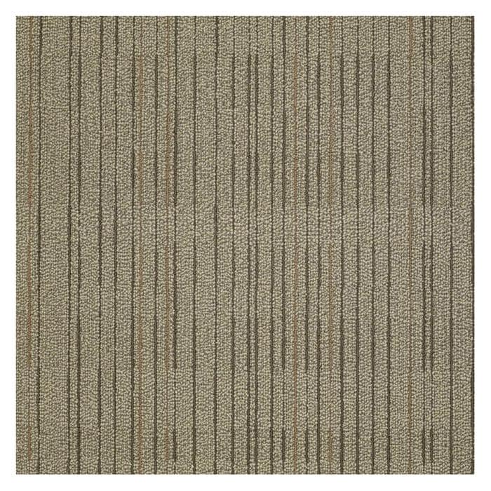 Shaw Immerse 24" x 24" Carpet Tile in Engross