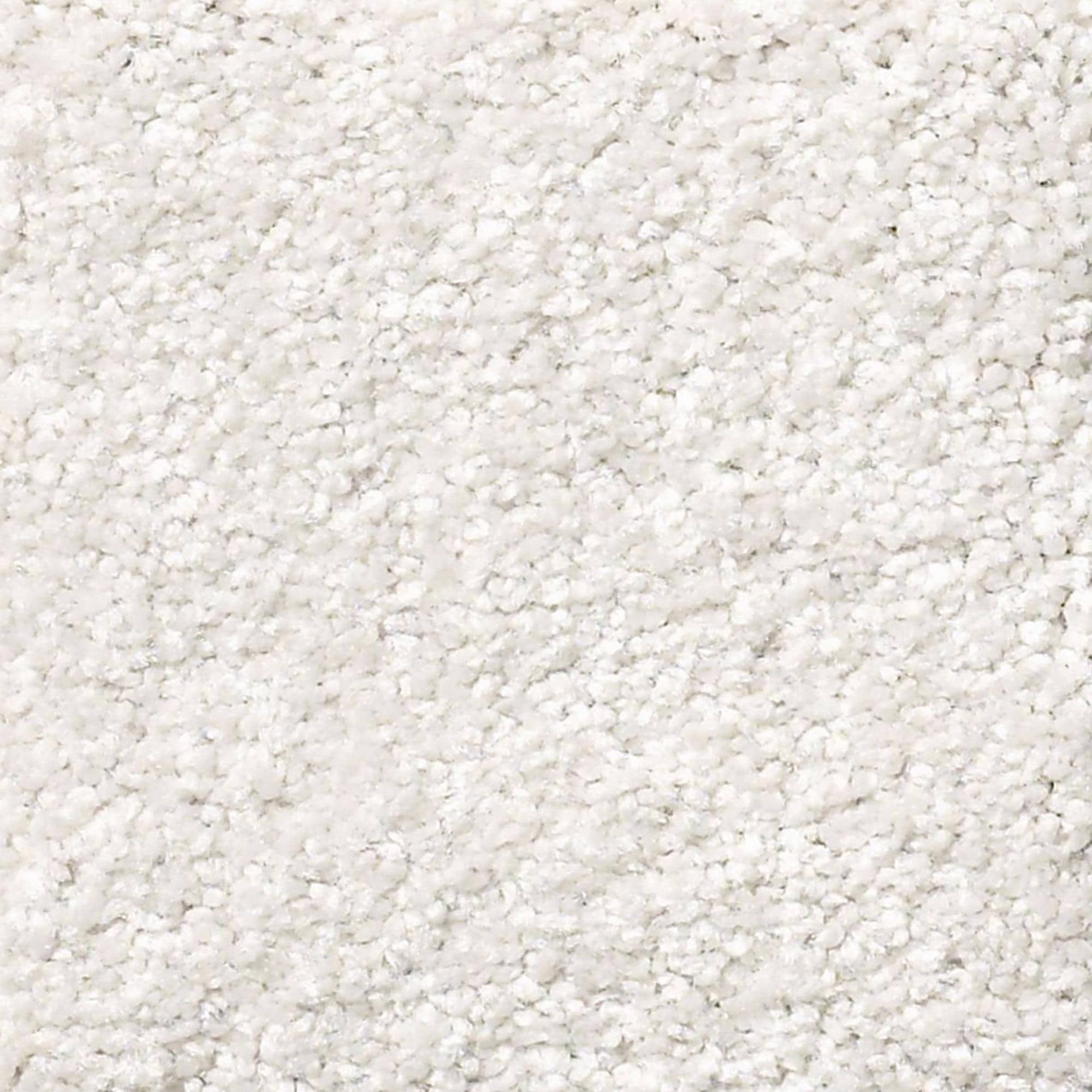 Shaw Take The Floor Texture Blue Carpet in Dove