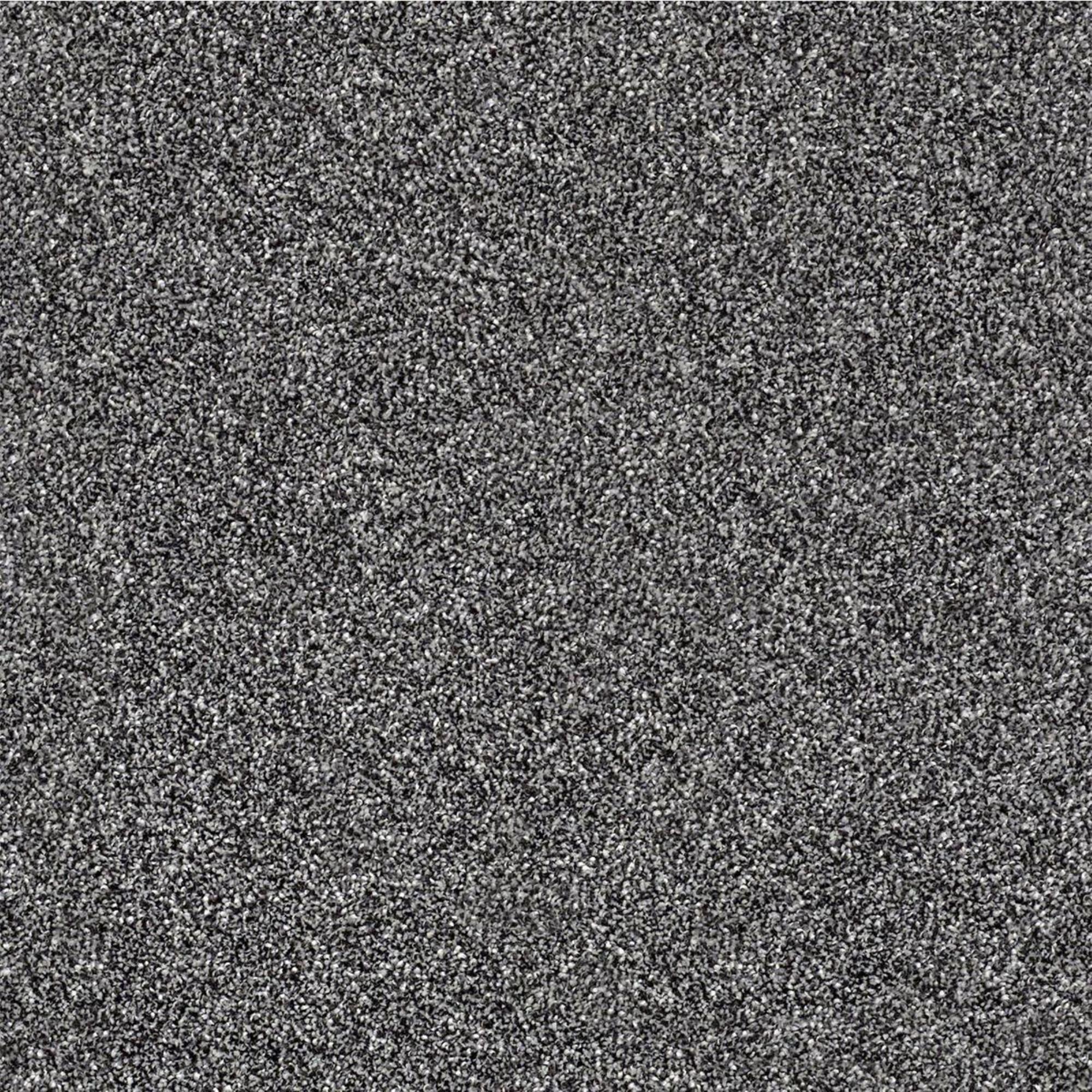 Shaw Making The Rules III 15' Carpet in Shadow | Shop NFM