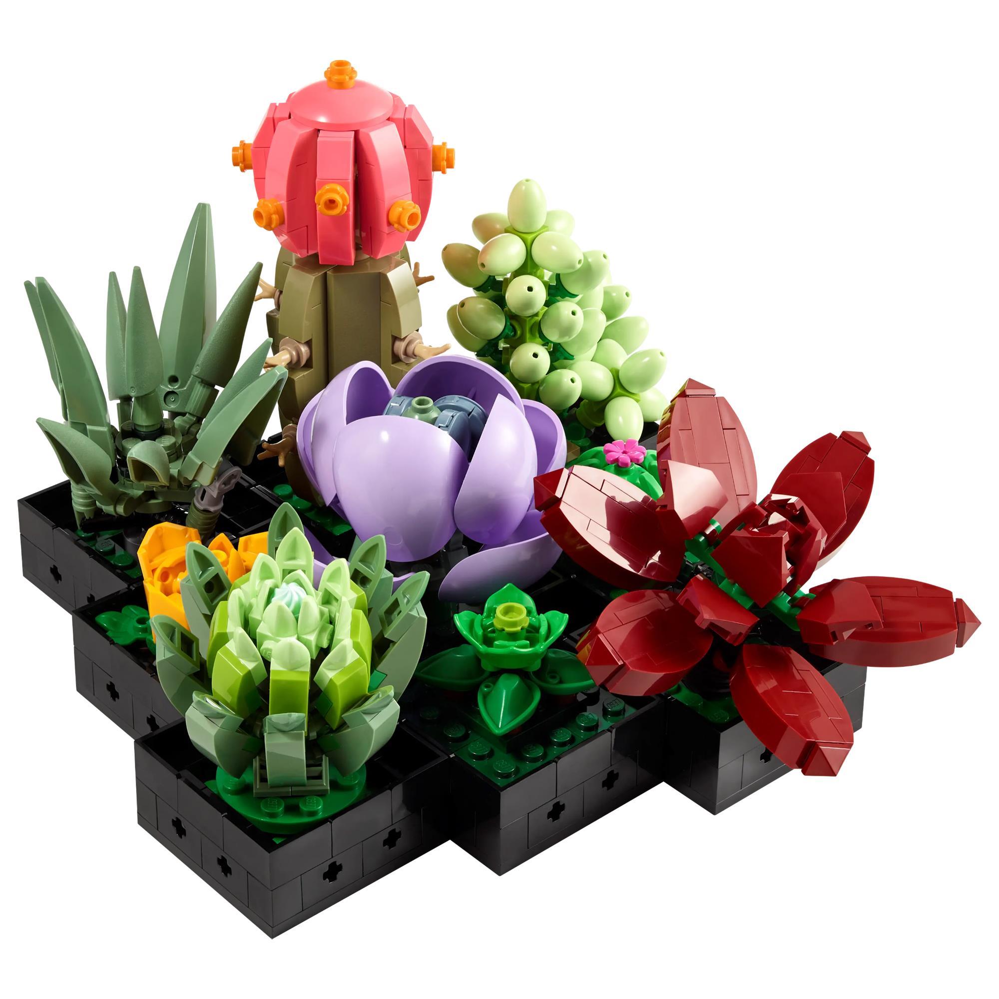 LEGO Botanicals Collection Succulents