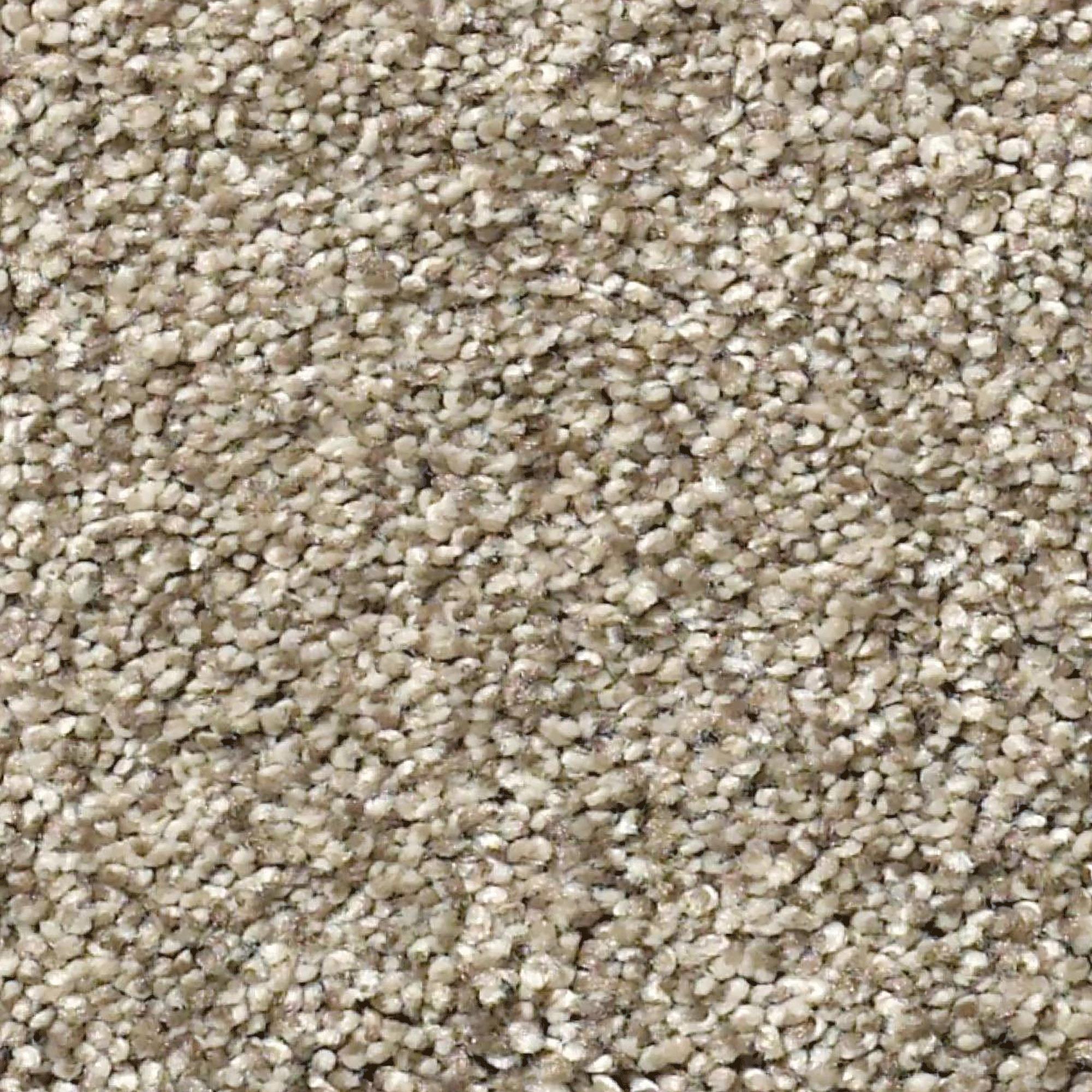 Philadelphia Tonal Comfort I Carpet in Dockside View | Shop NFM