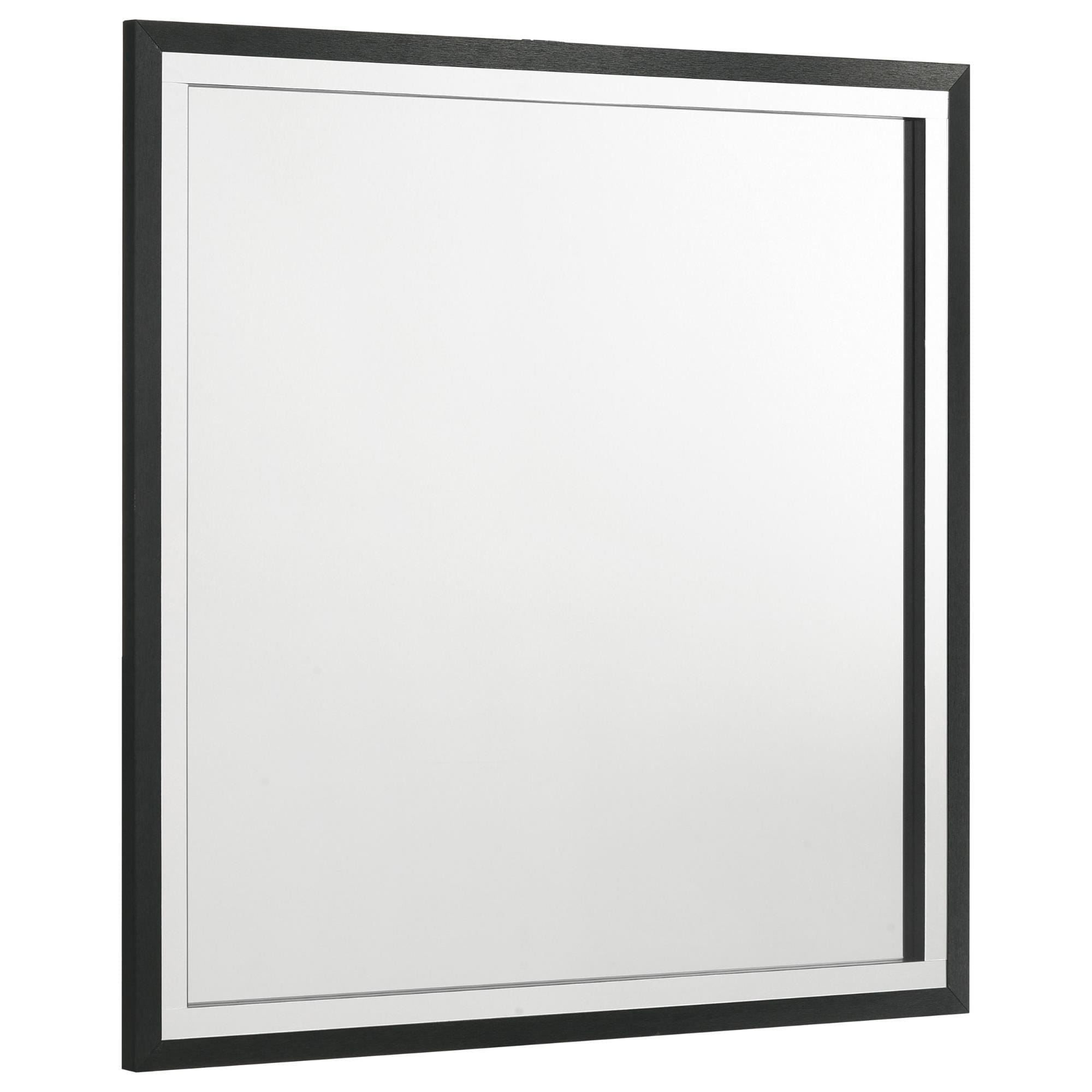 Coaster Lucia Dresser Mirror in Black and Chrome