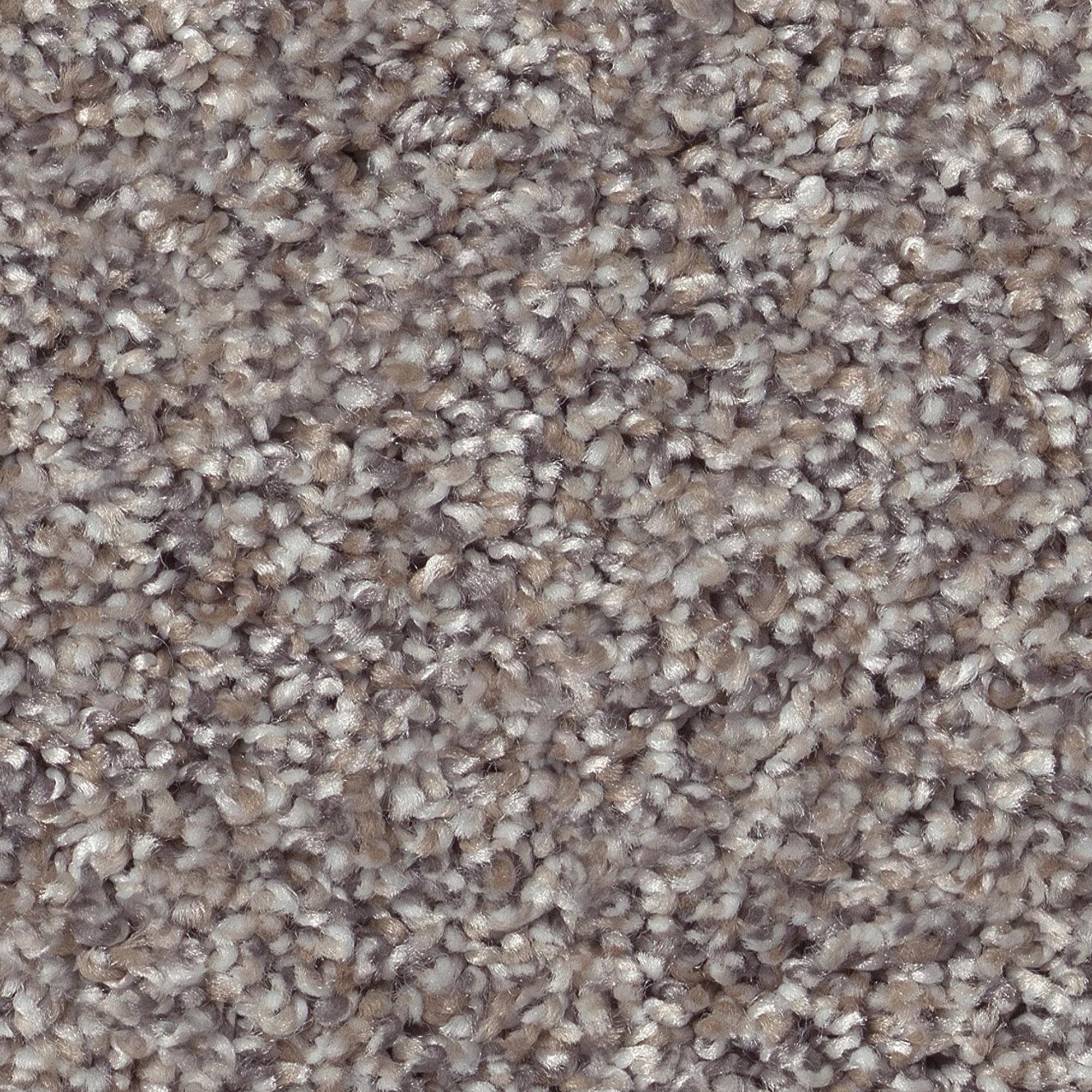Shaw Inlet Shore I Carpet in French Buff
